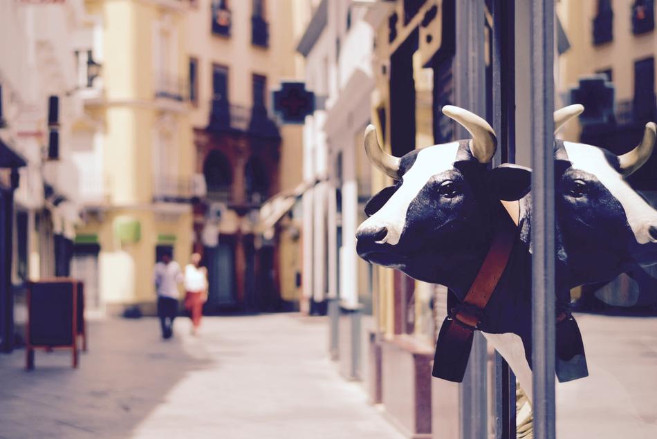 Cow City Sidewalk free image download