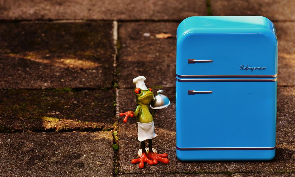 Frog Cooking Refrigerator free image download