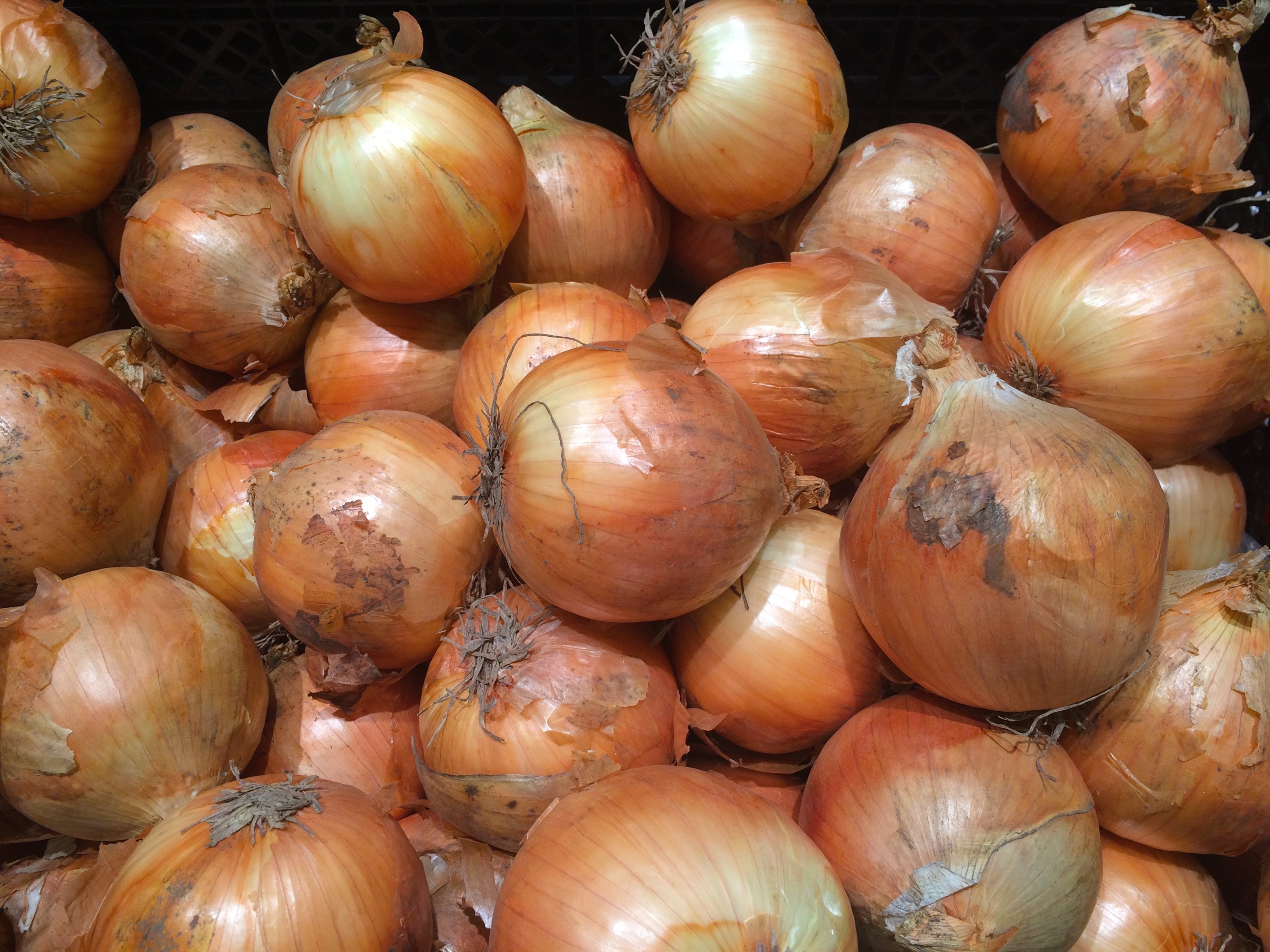 Onions Pile Up Vegetables macro free image download