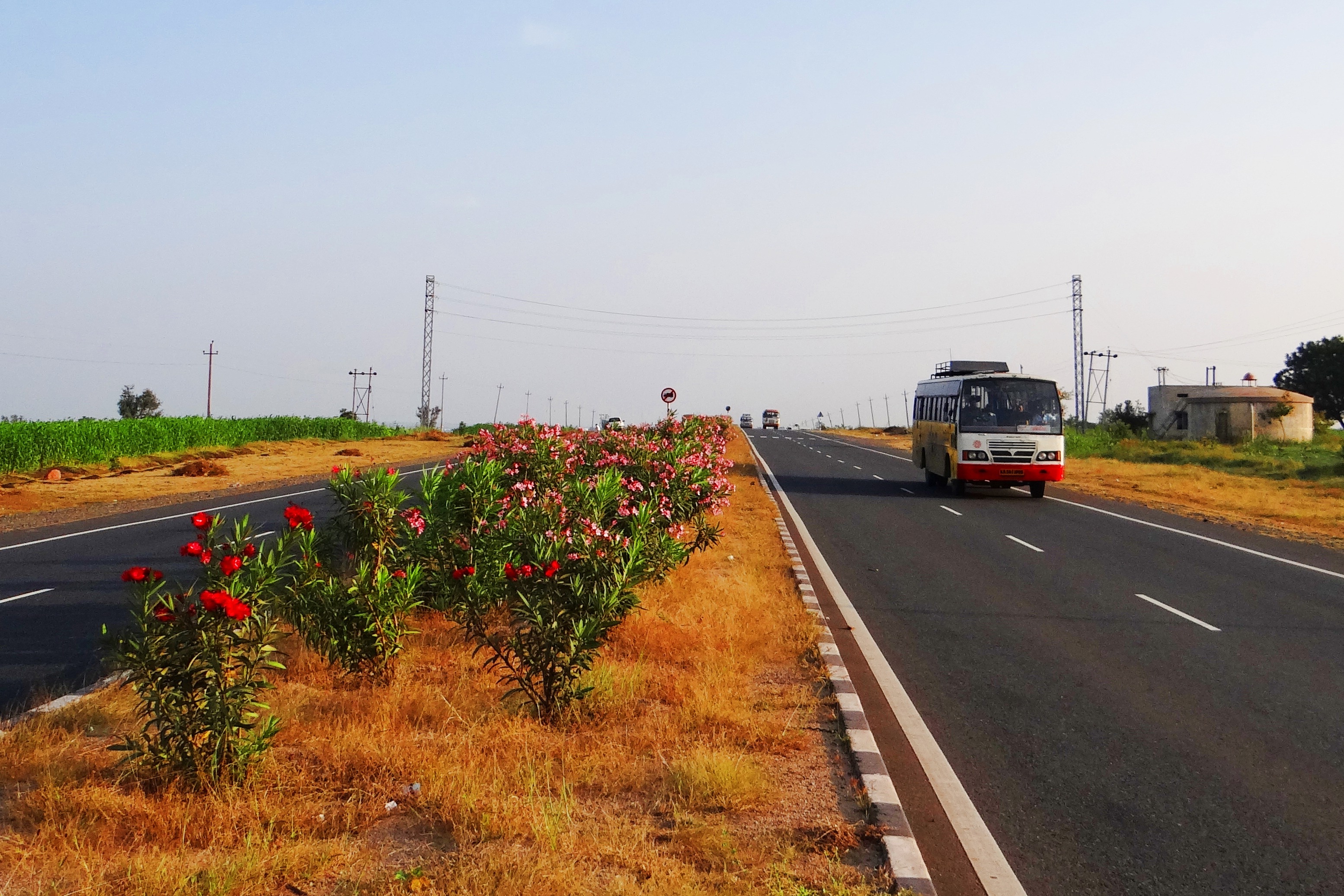 Divider Highway Roadway free image download