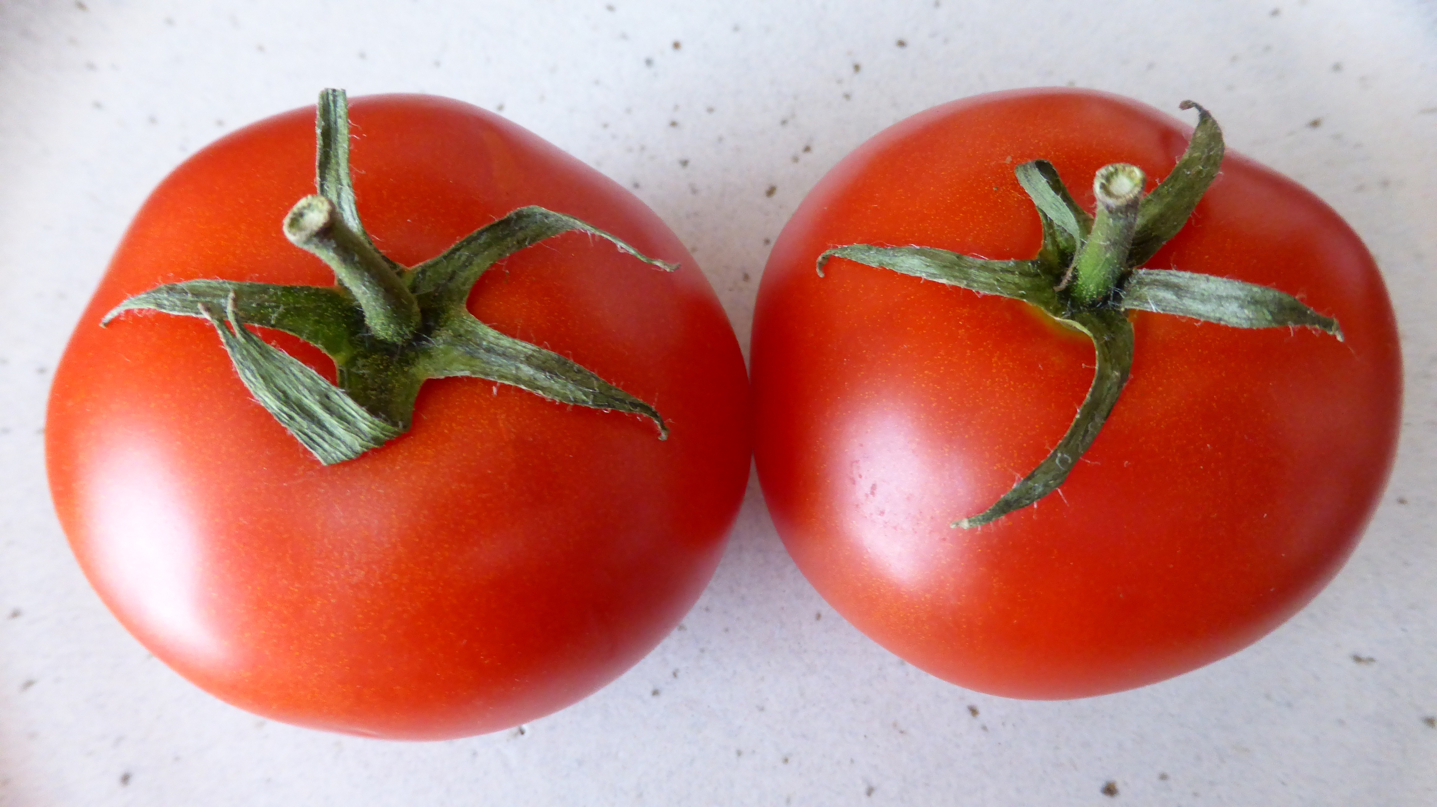 Red Tomatoes Vegetables round free image download