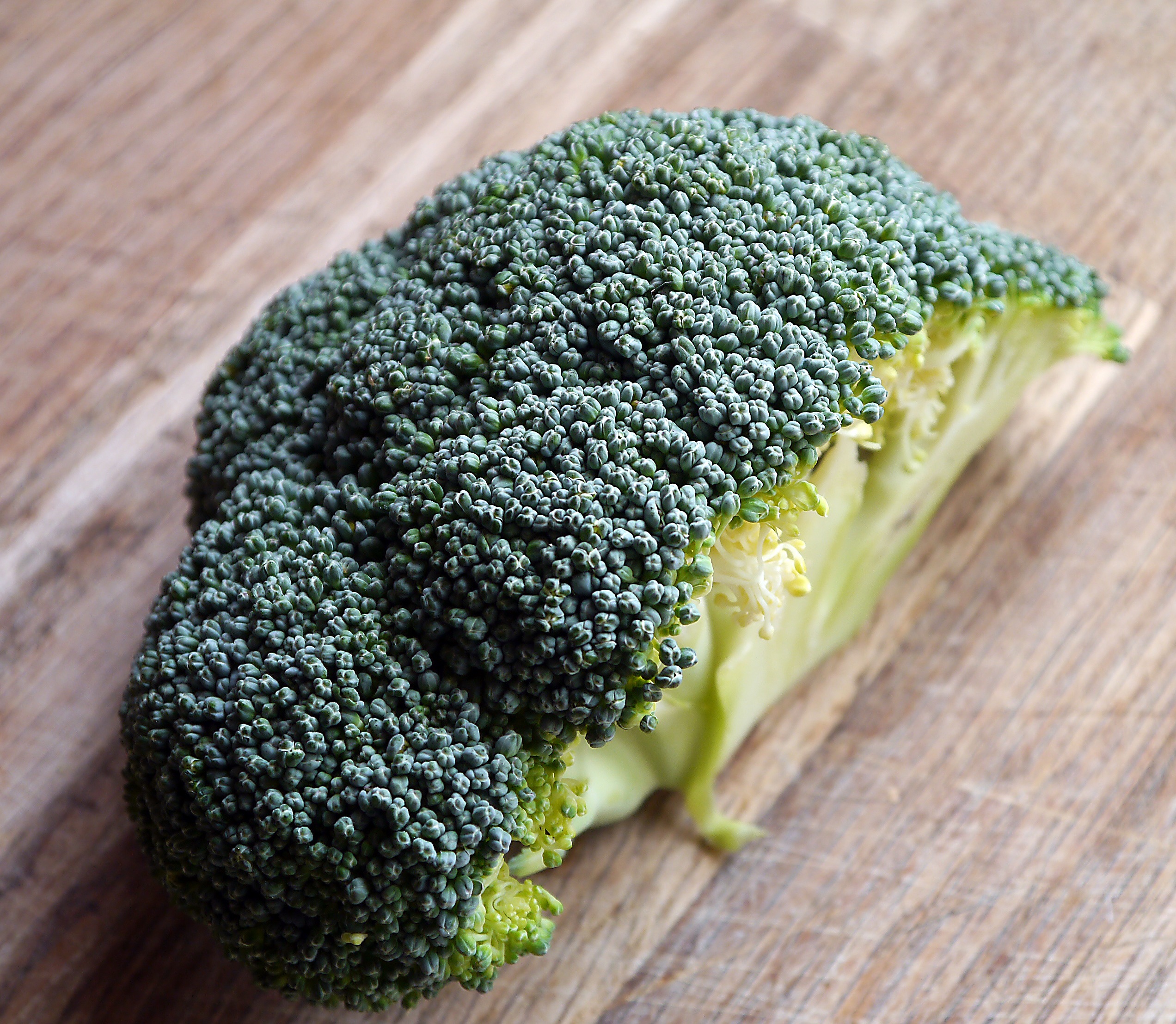 Healthy Broccoli Vegetable free image download