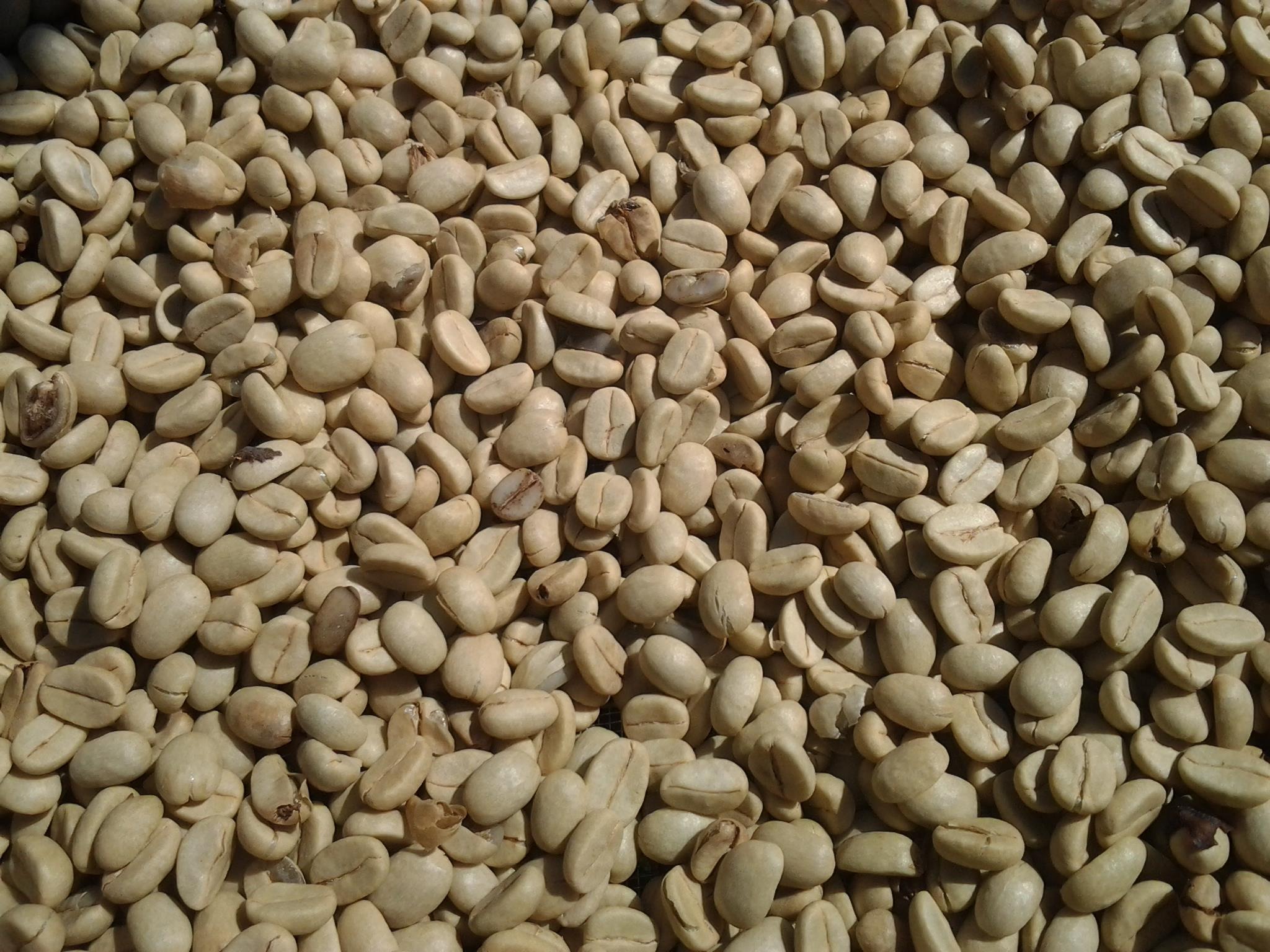 Coffee Grain Cafe From free image download