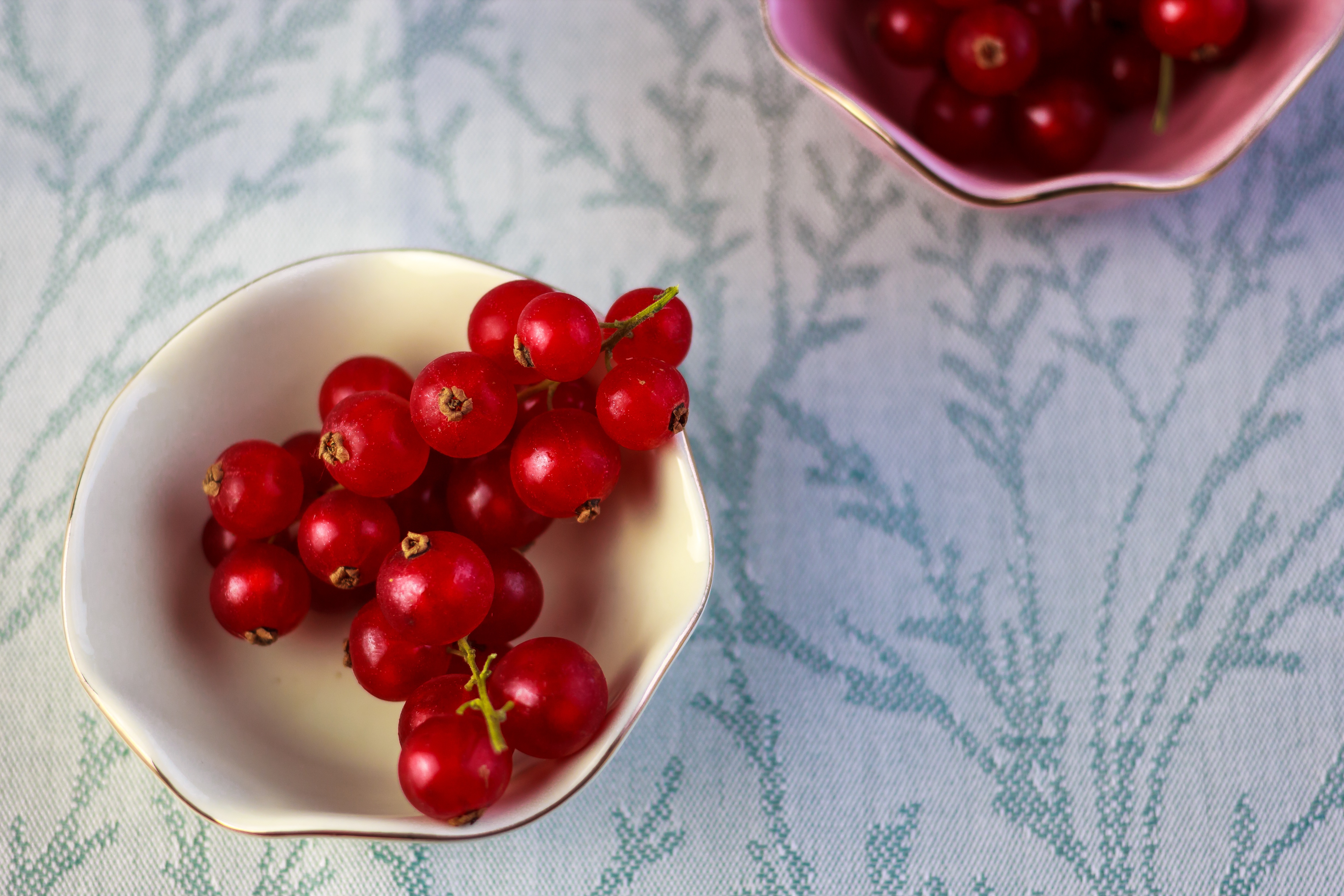 Currants Fruit Healthy Close free image download