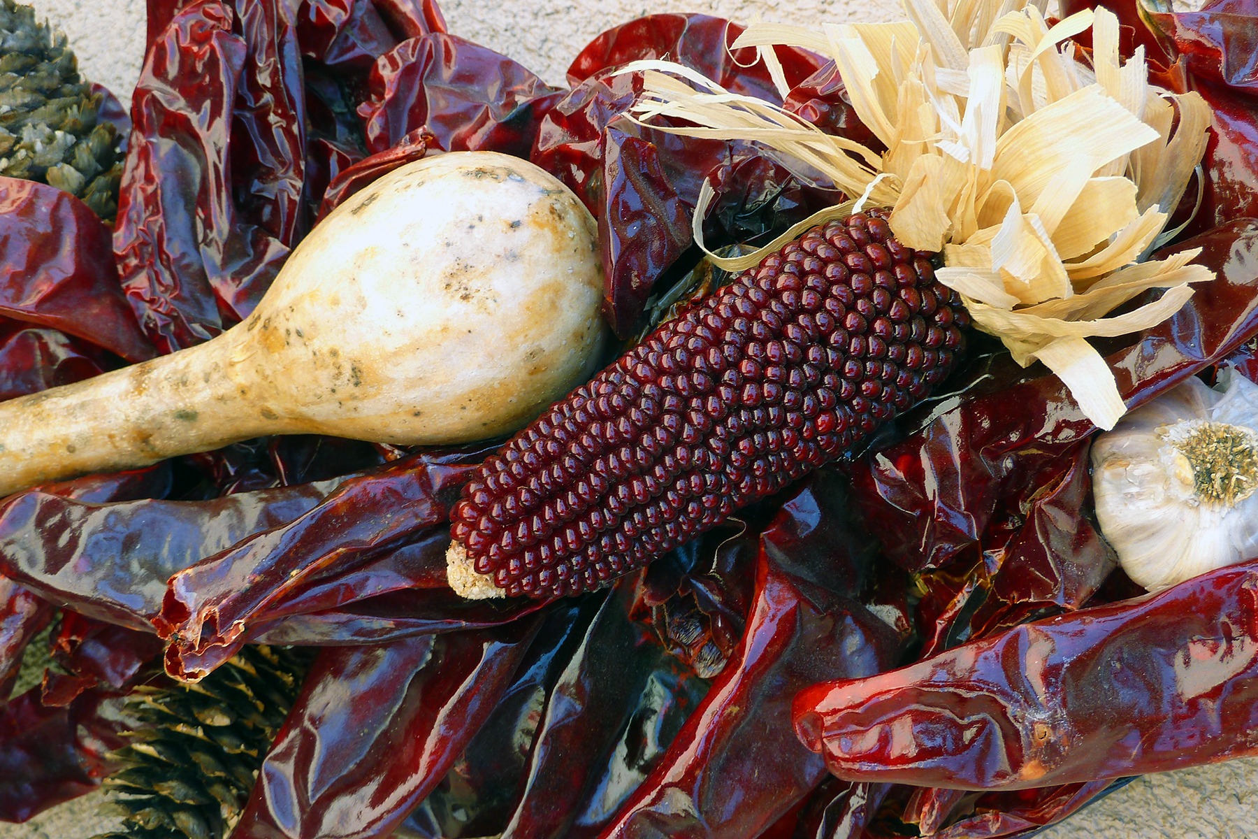 Dried corn product free image download