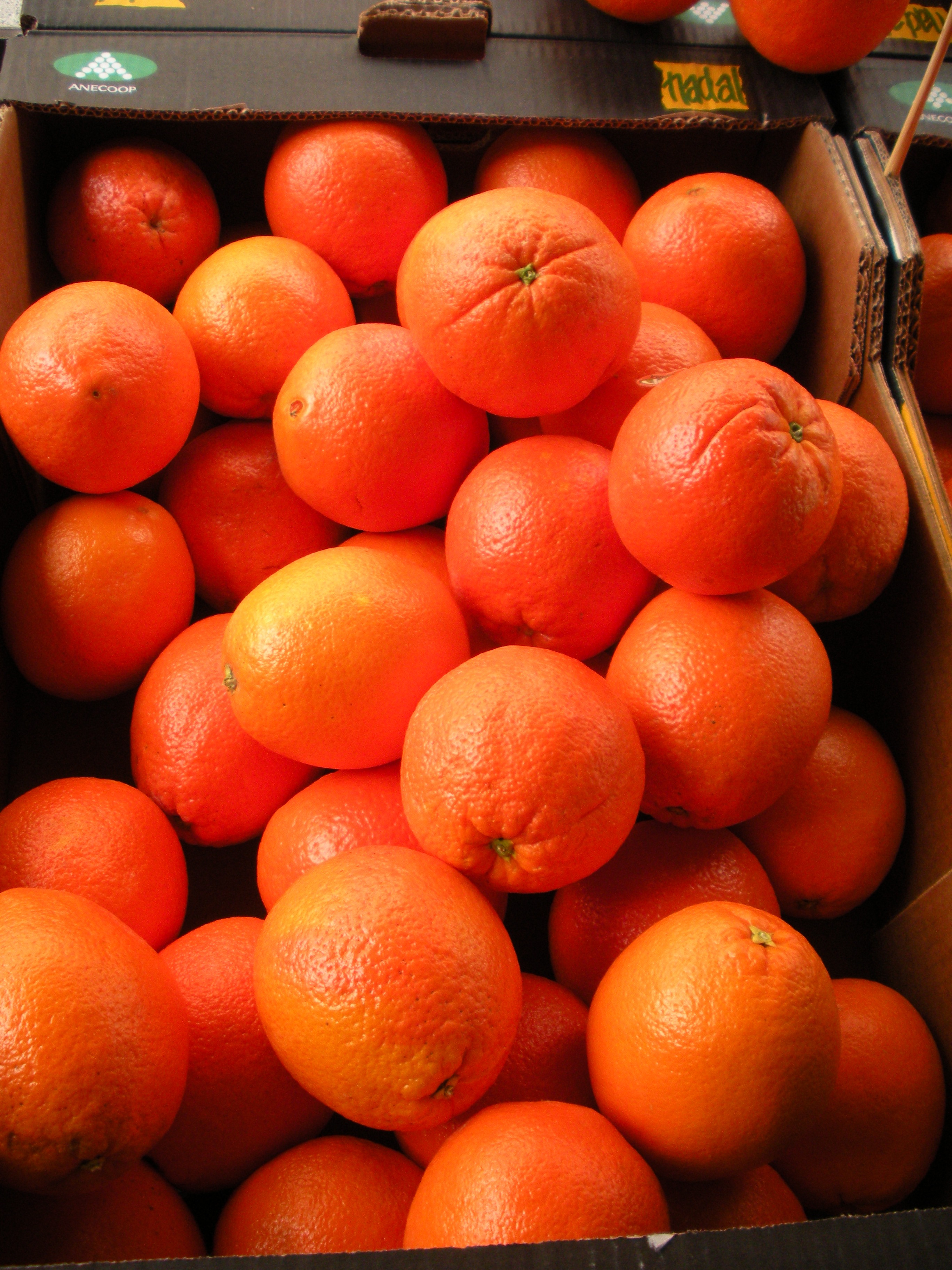 Sweet holiday oranges free image download