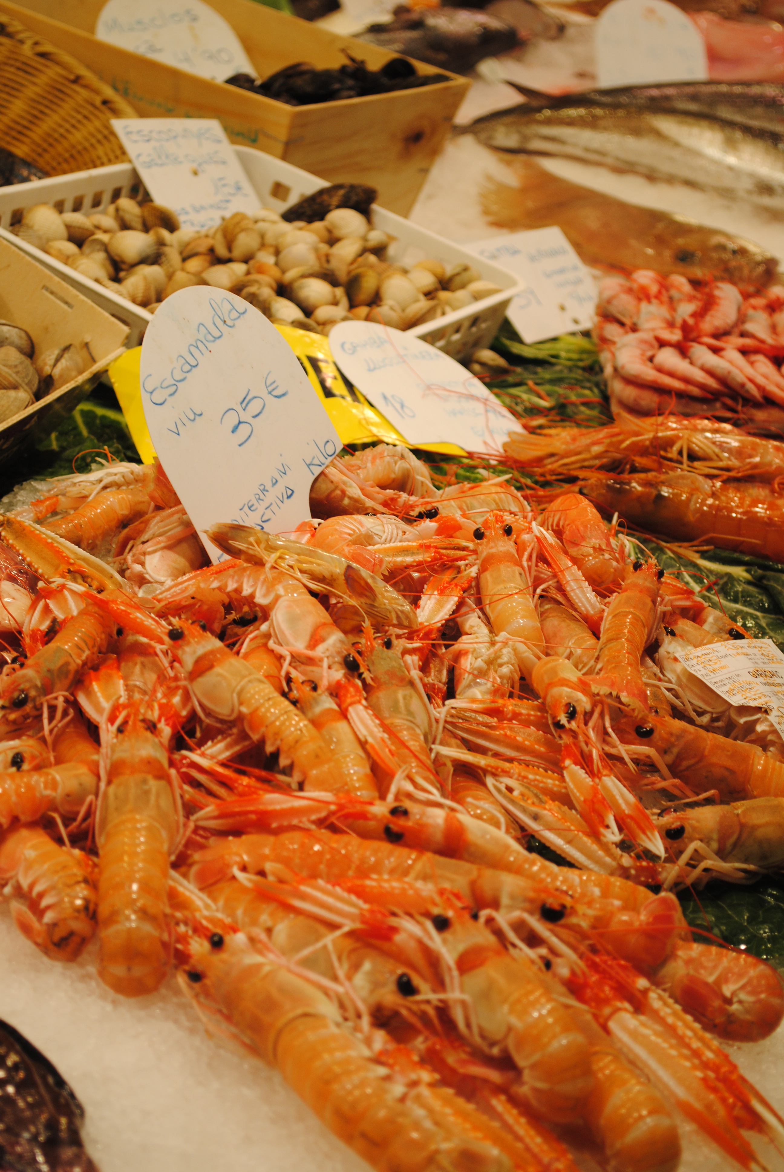 Fresh Fish Prawns Market Stall free image download