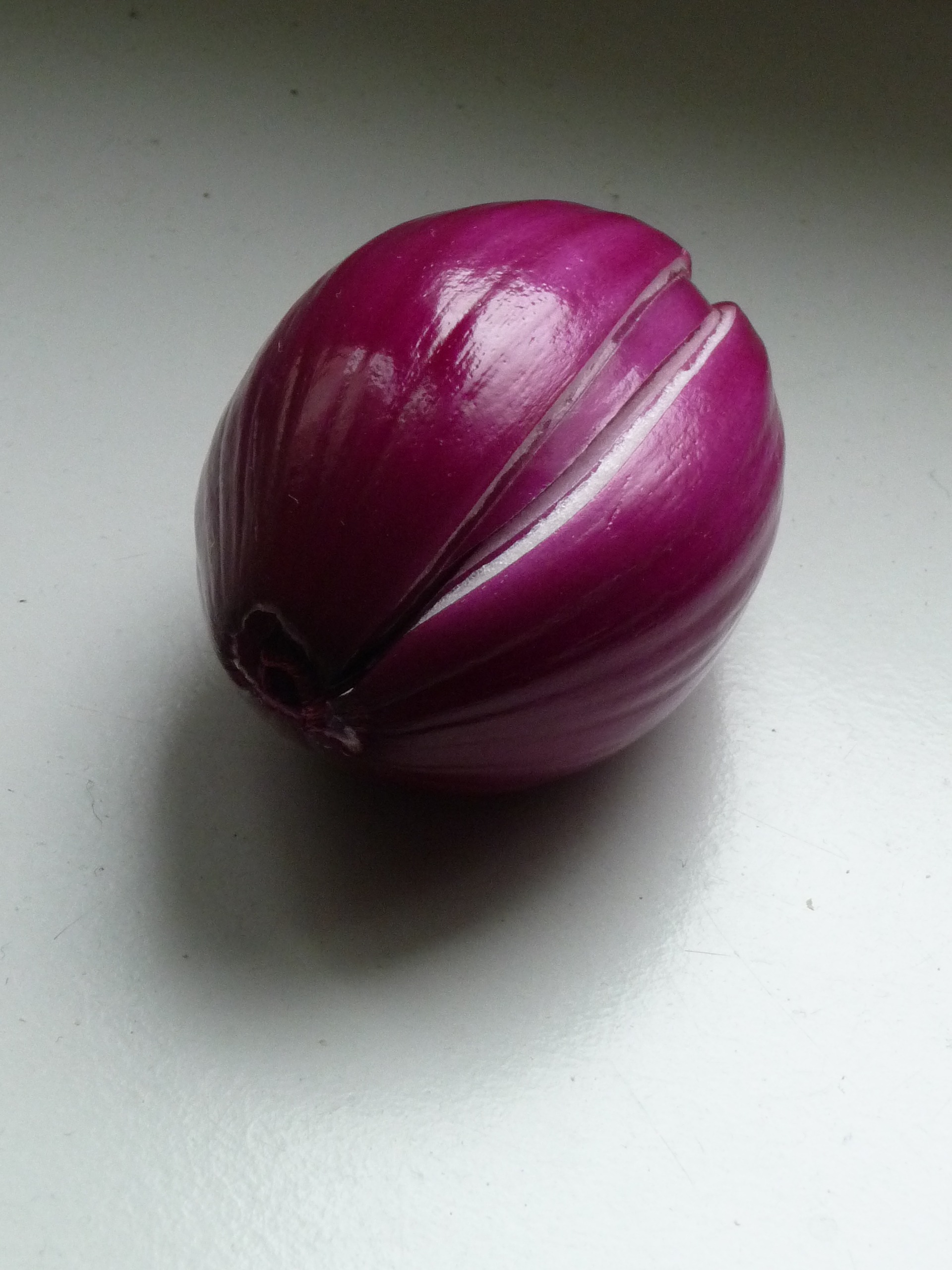 Colored onions free image download