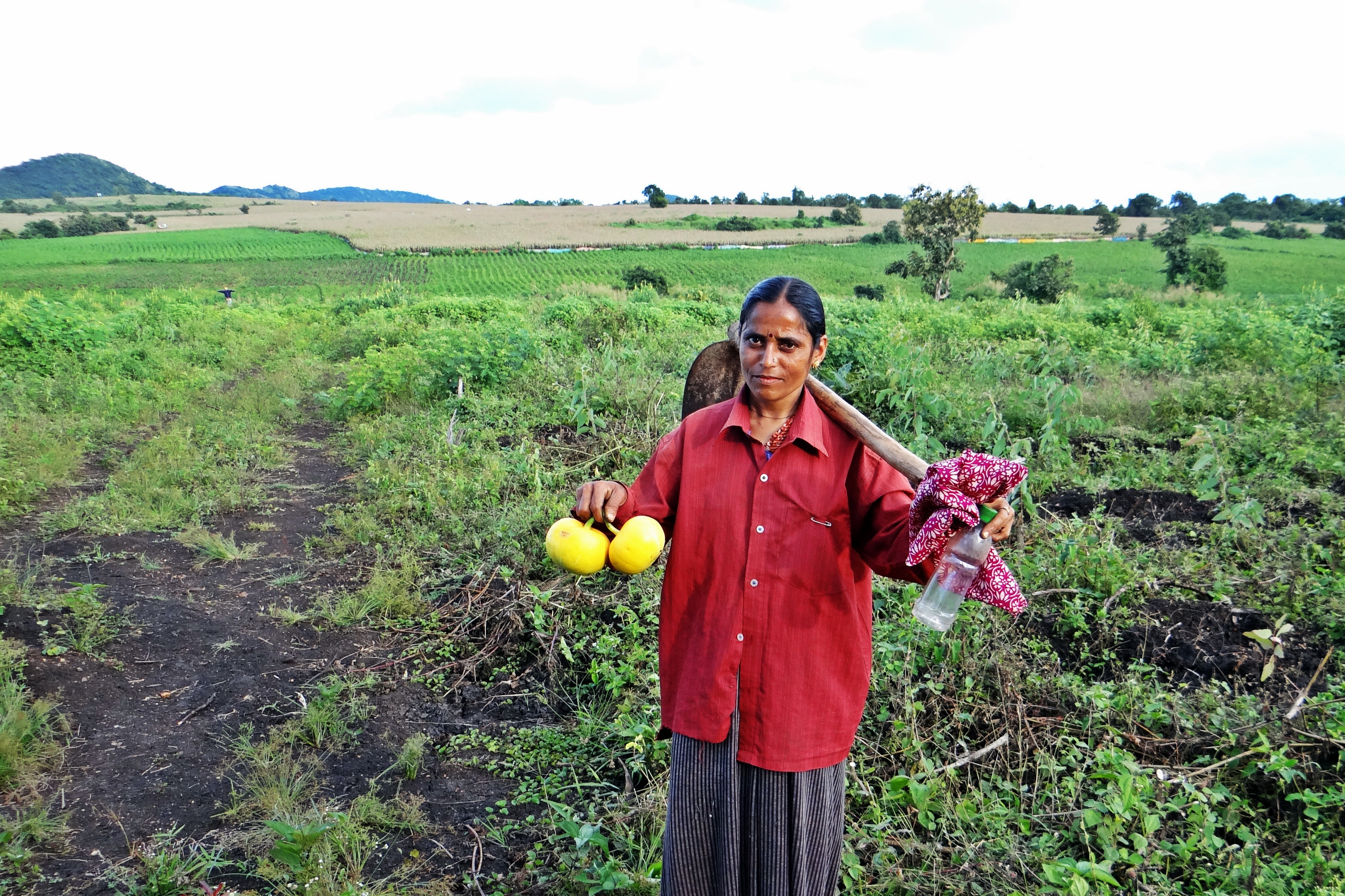 Lady Female Farm Worker free image download
