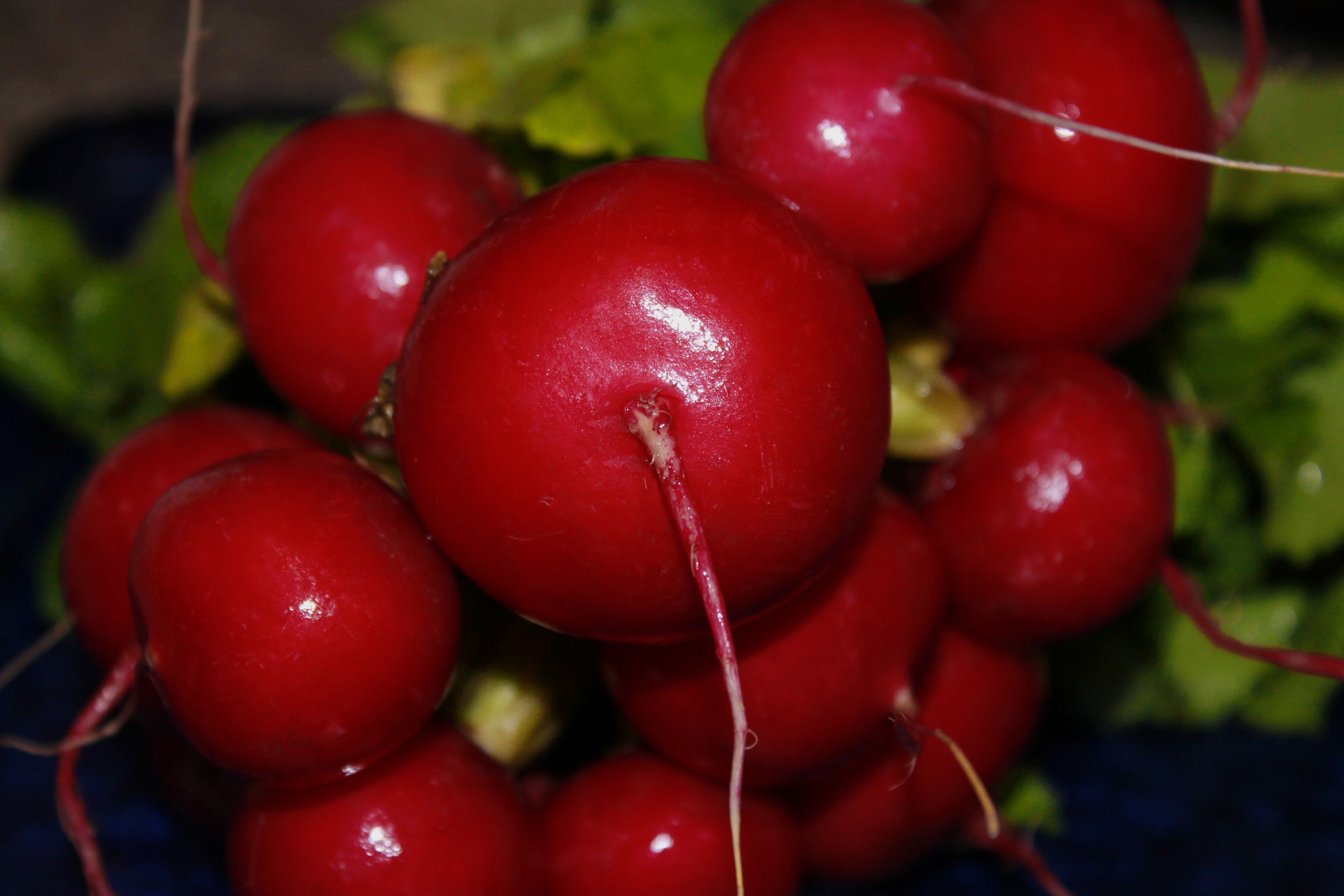 Radishes Radish Vegetables free image download