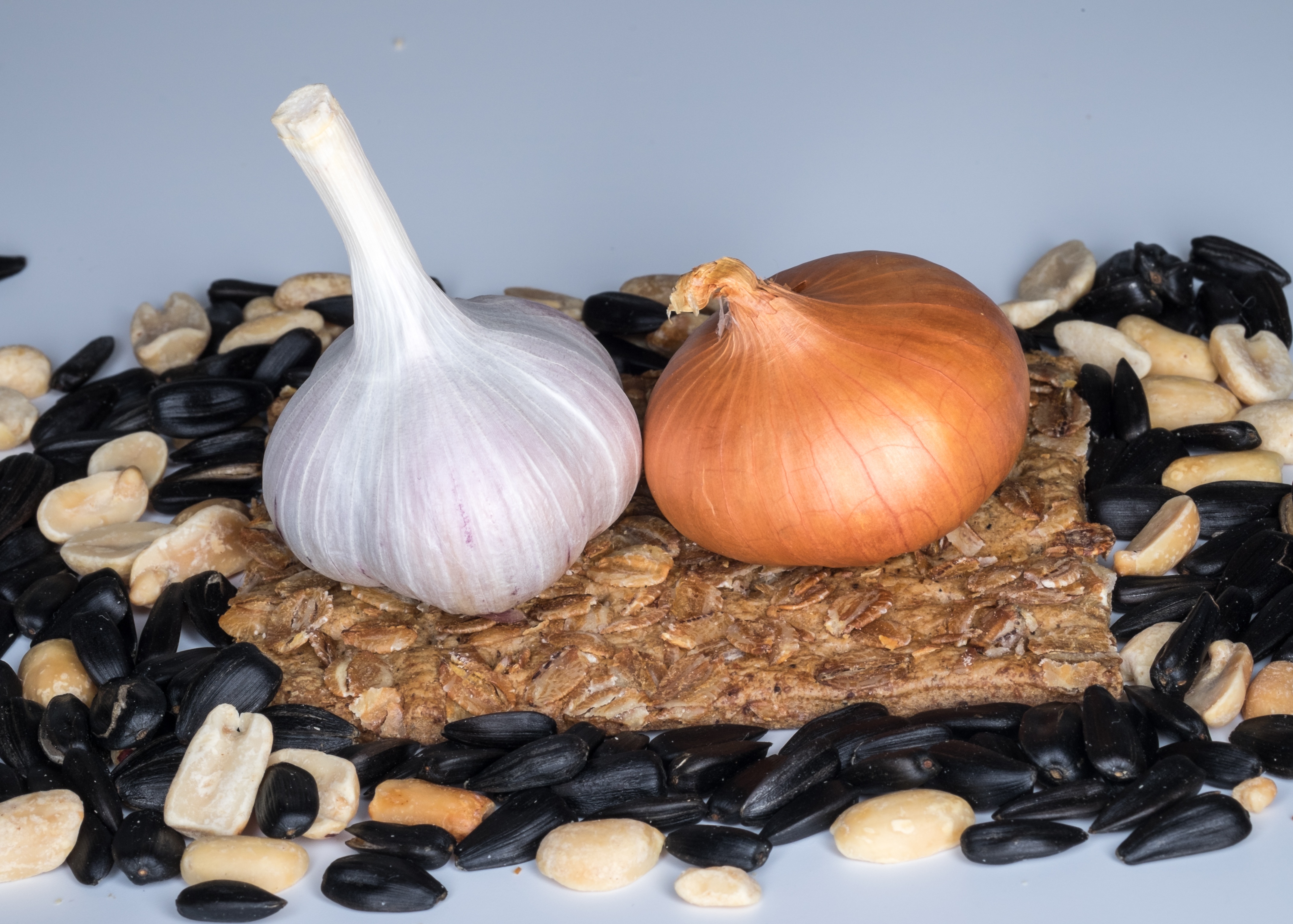 Onions garlic free image download