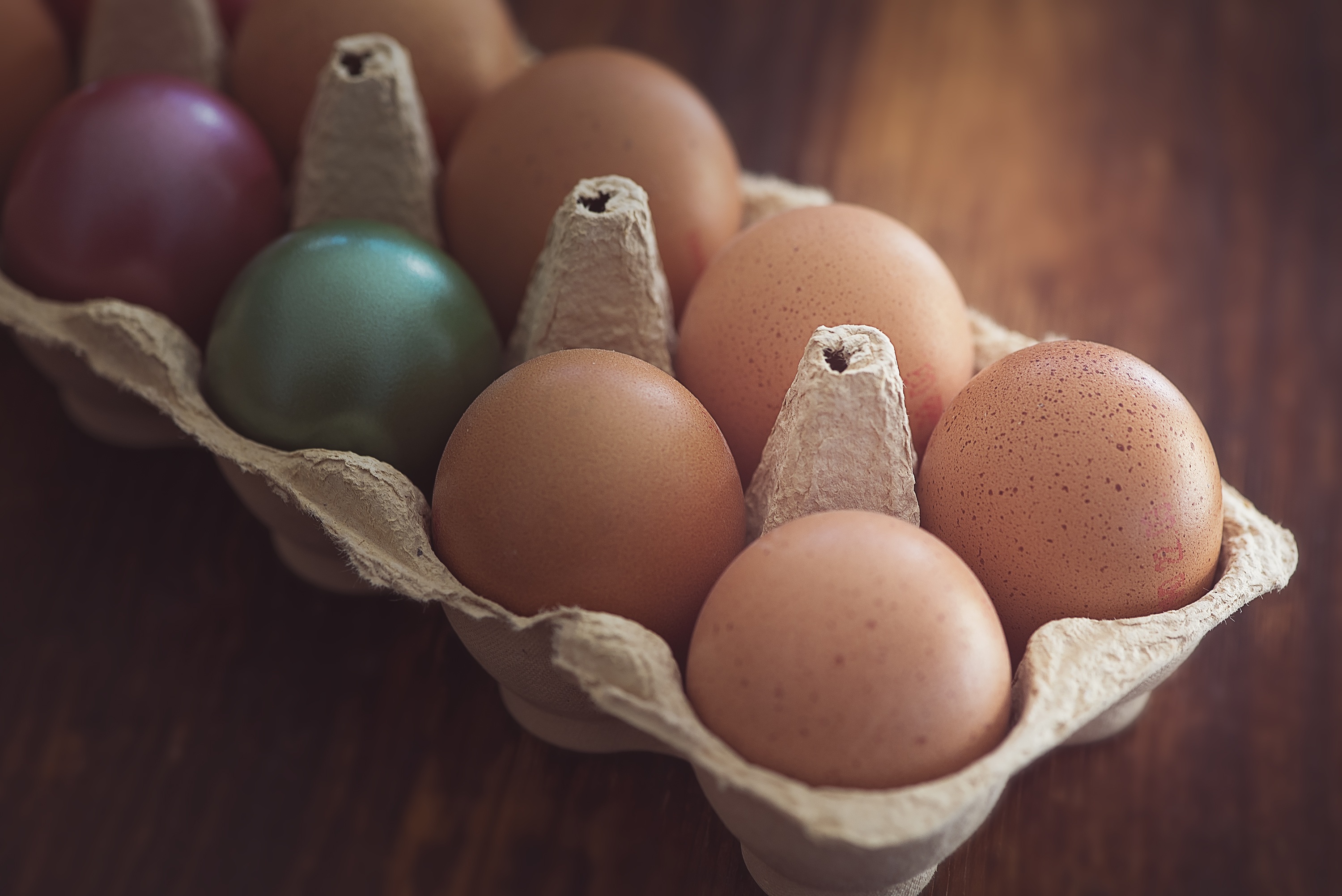 Colored eggs in box free image download