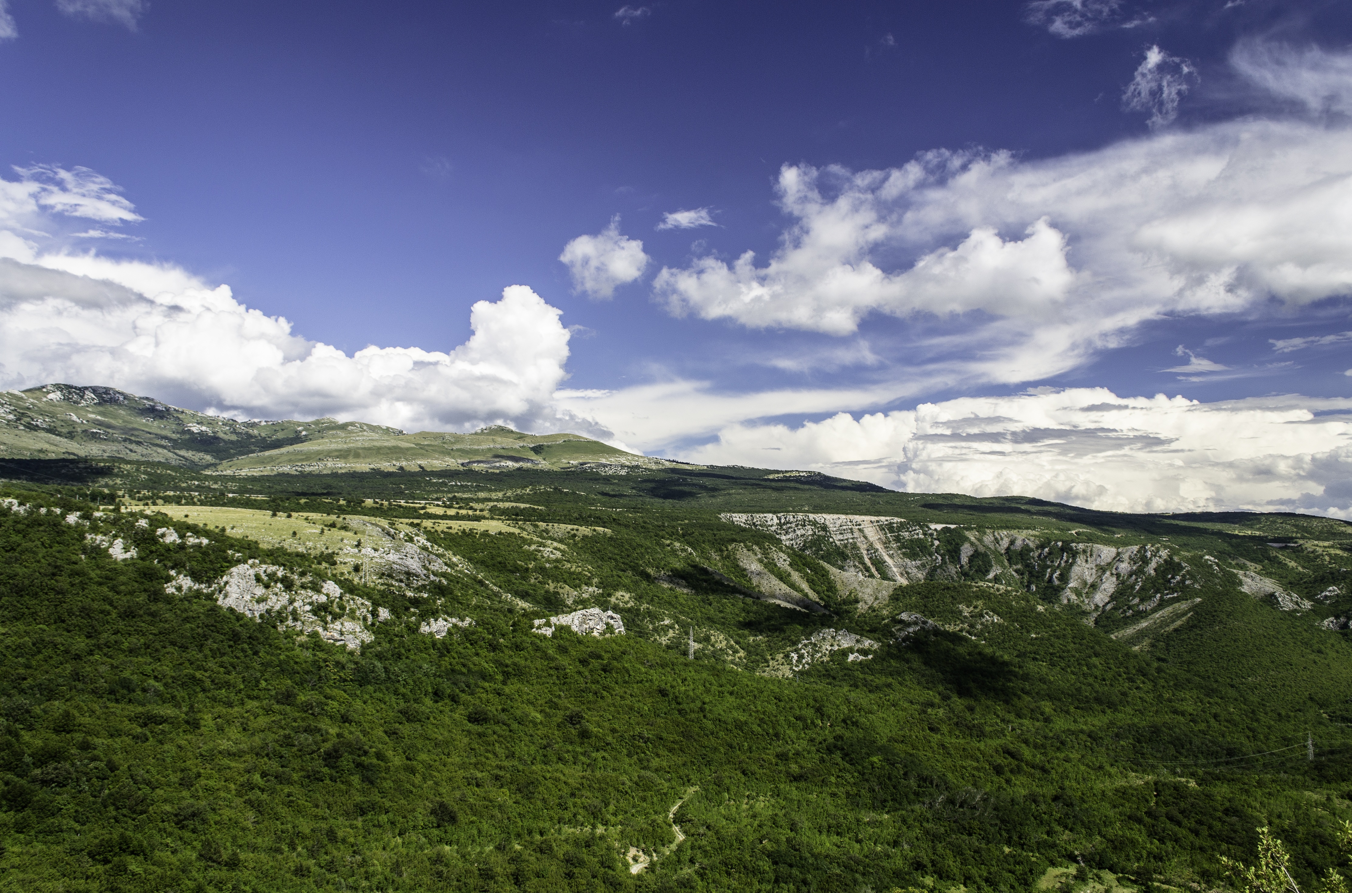Mountainous area with forest free image download