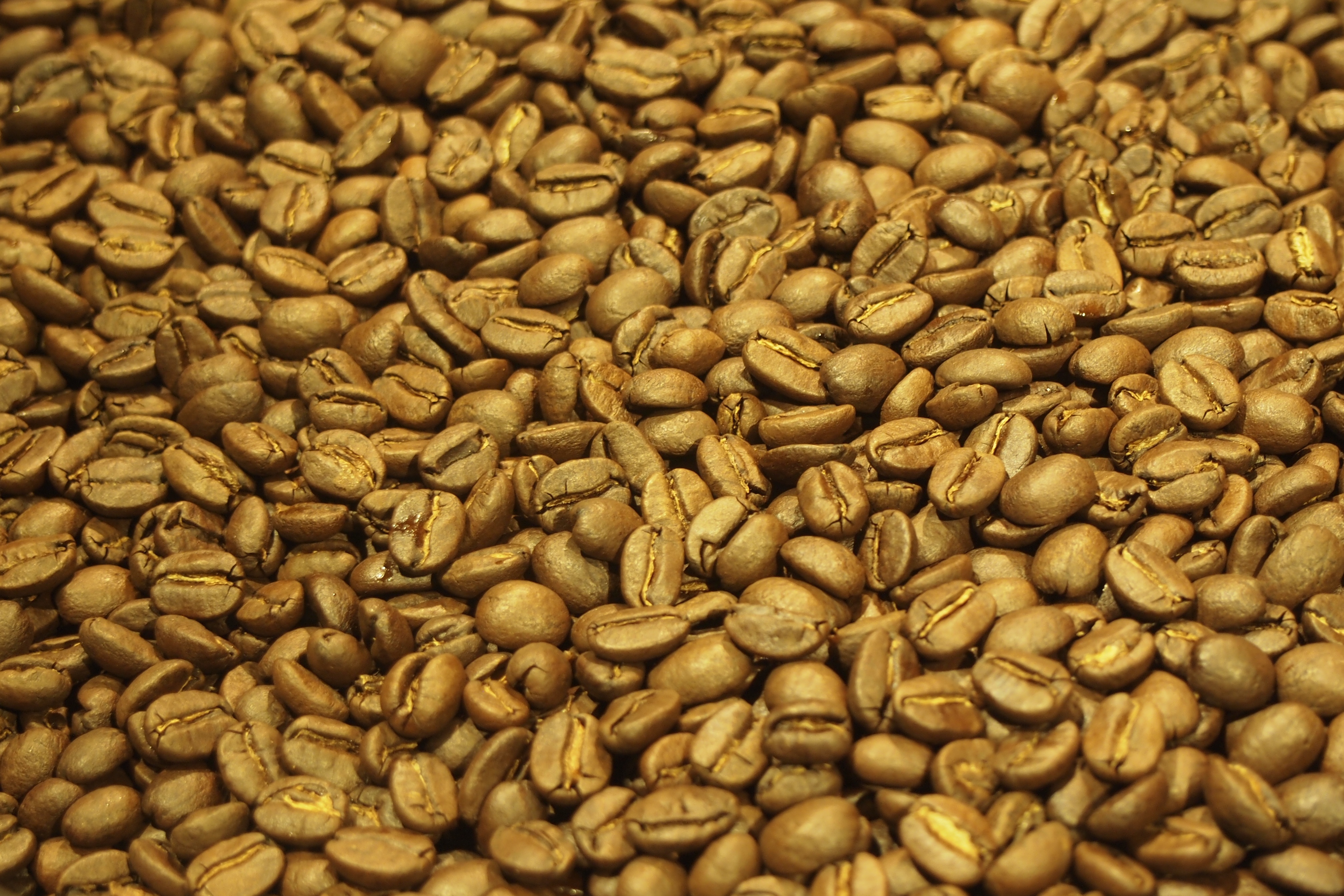 Coffee beans roasted delicious free image download