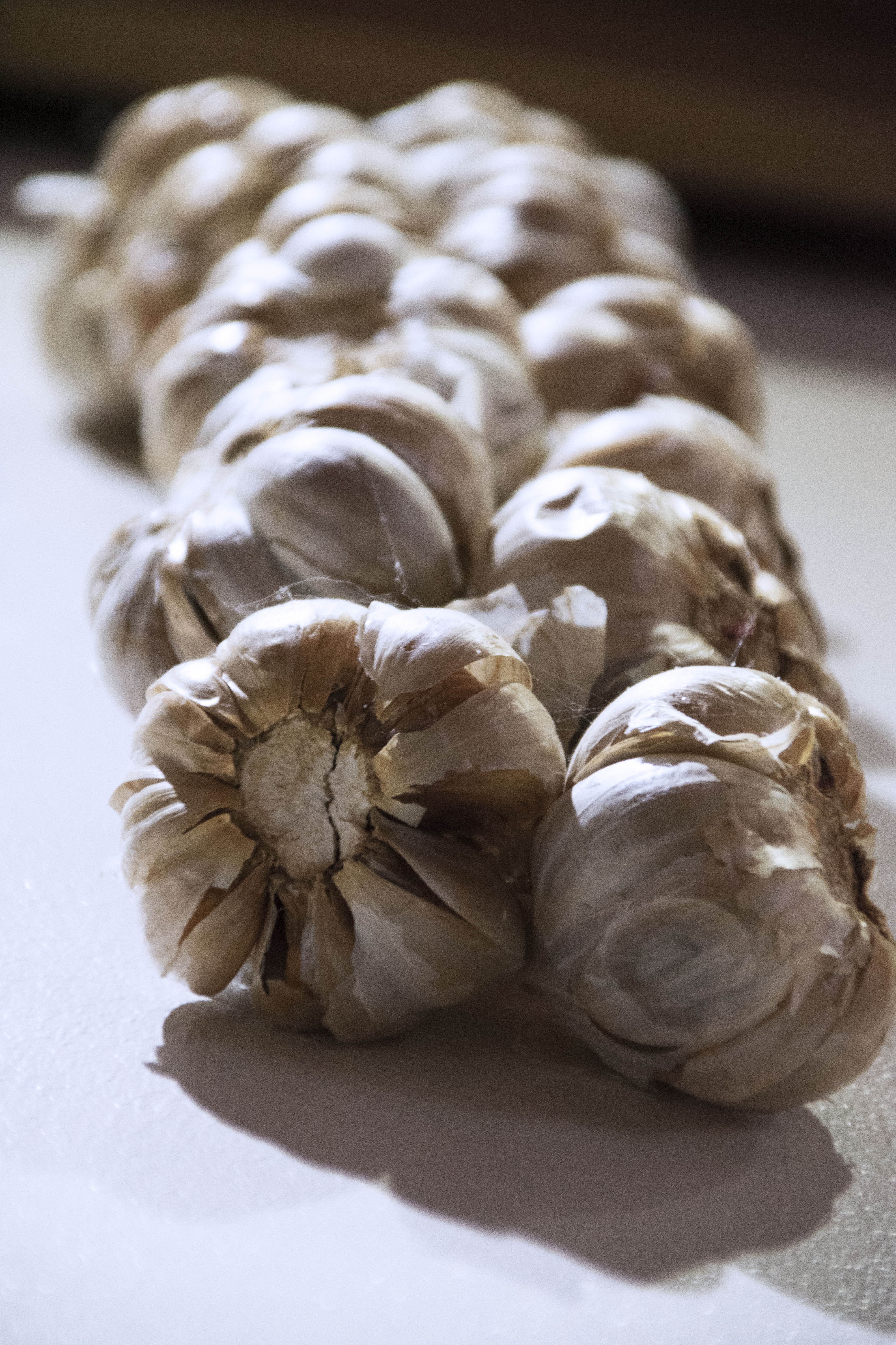 Garlic braid free image download