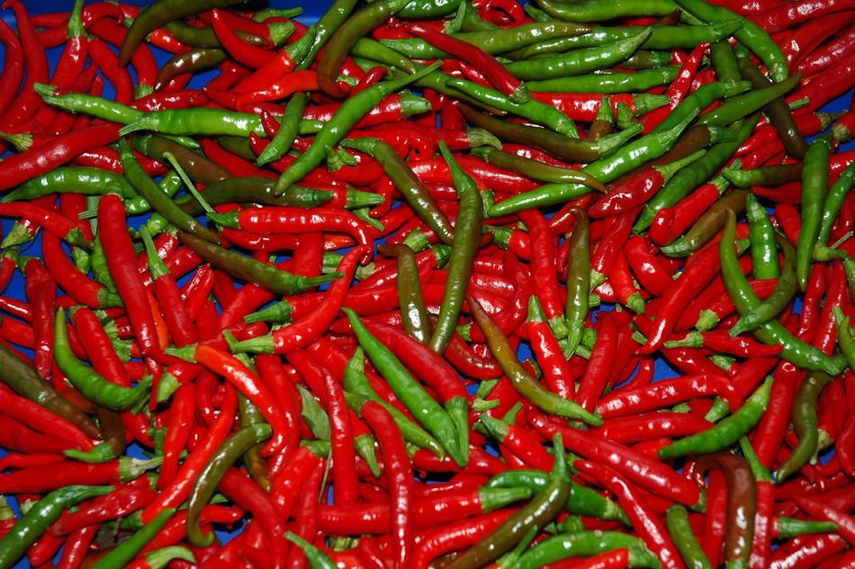 Chilli Food Chili free image download