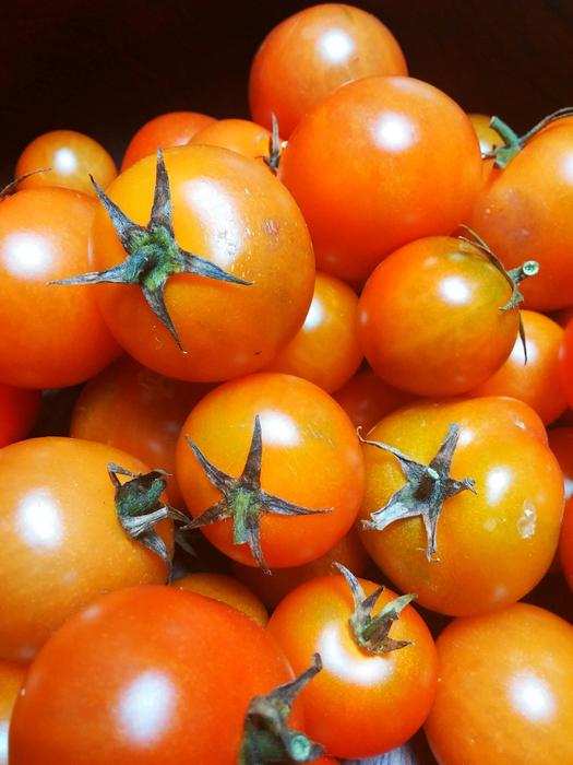 Small orange ripe tomatoes free image download