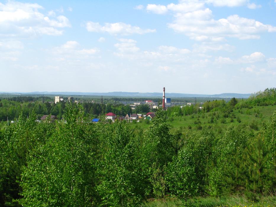 View of the forest from above free image download