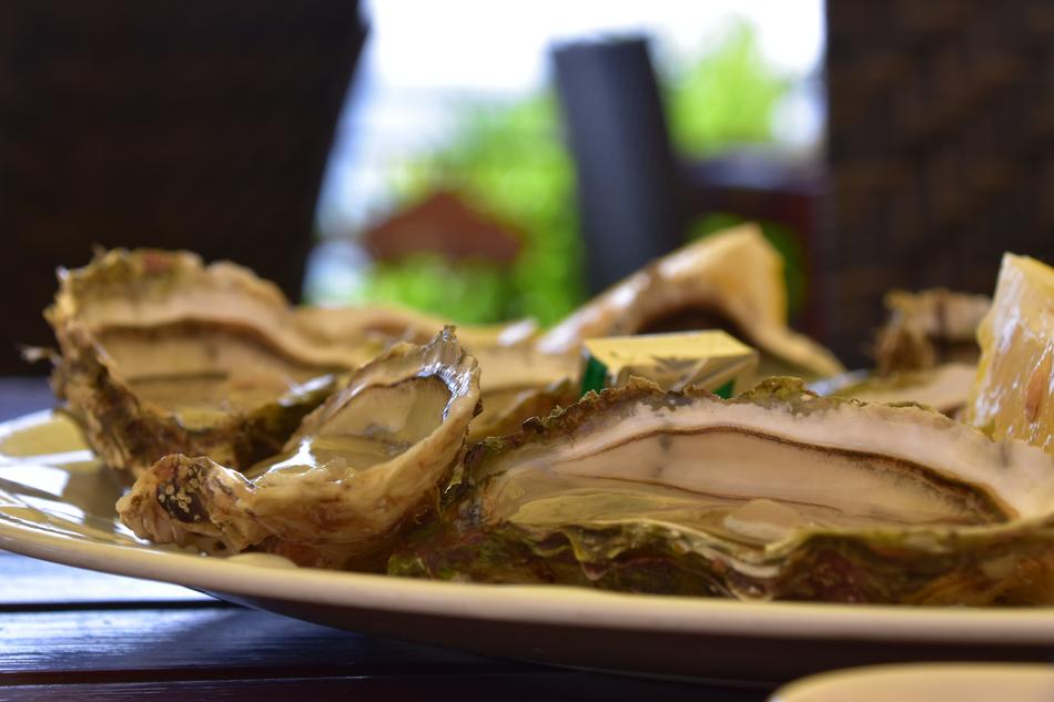 Oyster dish in a restaurant free image download