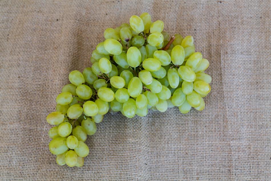 Handful of grapes on the table free image download