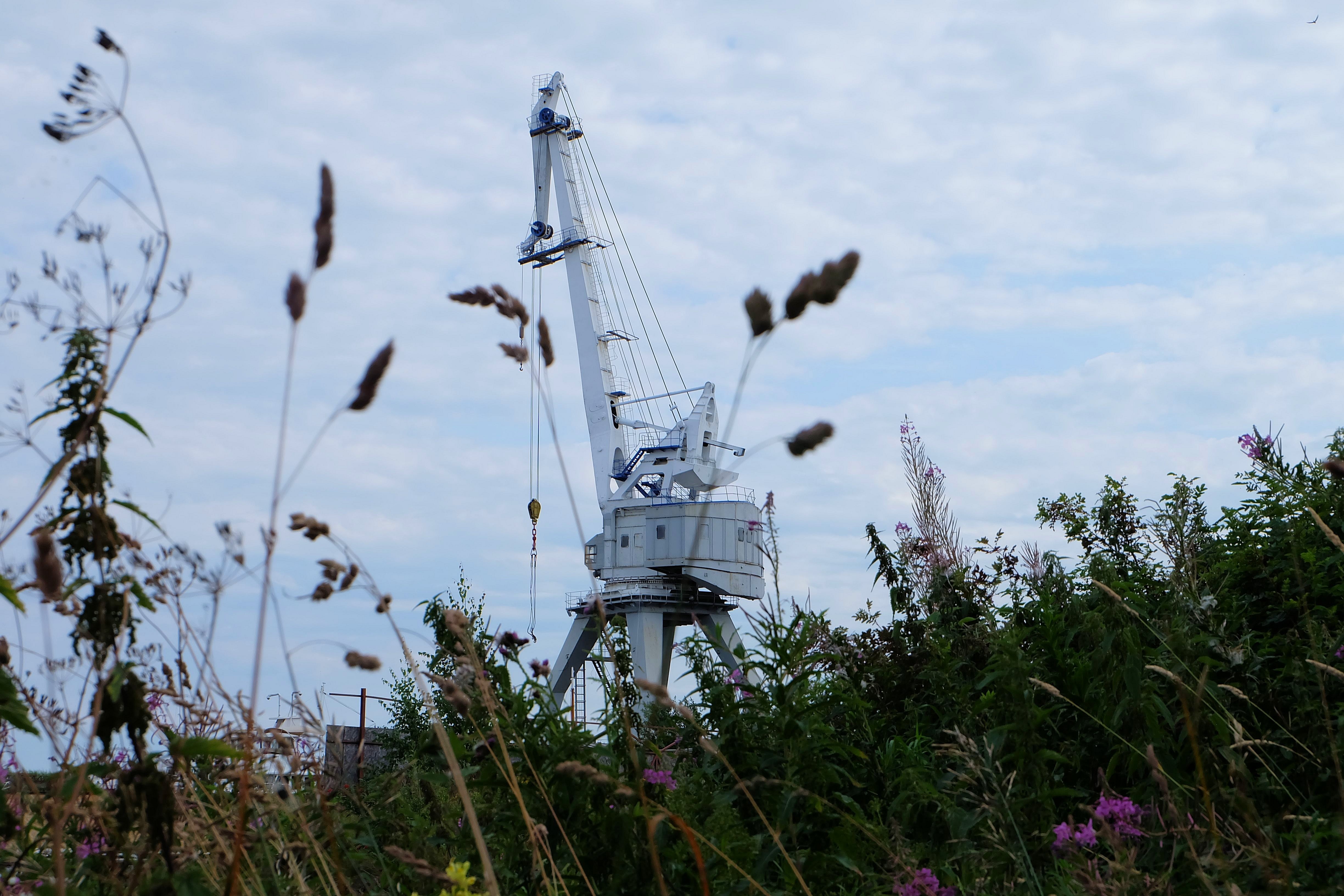 Landscape with the port crane, among the colorful grass, under the blue ...
