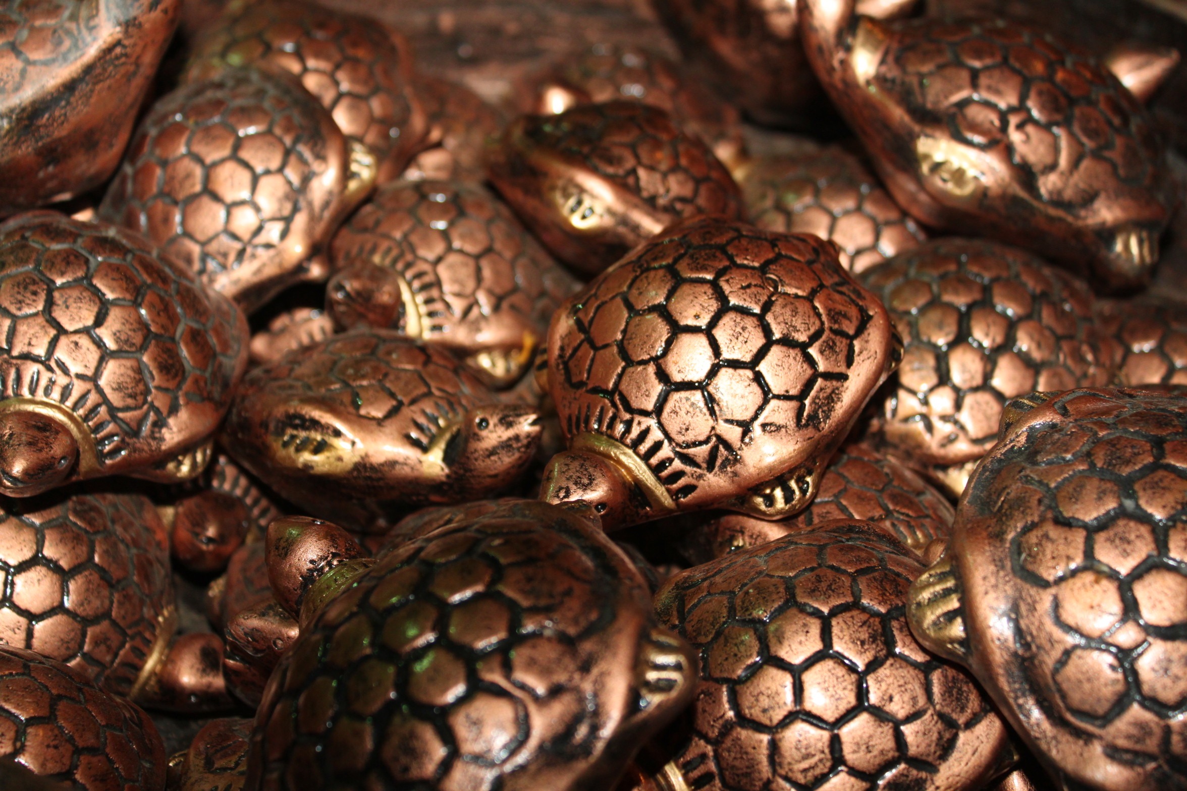 Close-up of the shiny, brown tortoise figures, in liht free image download