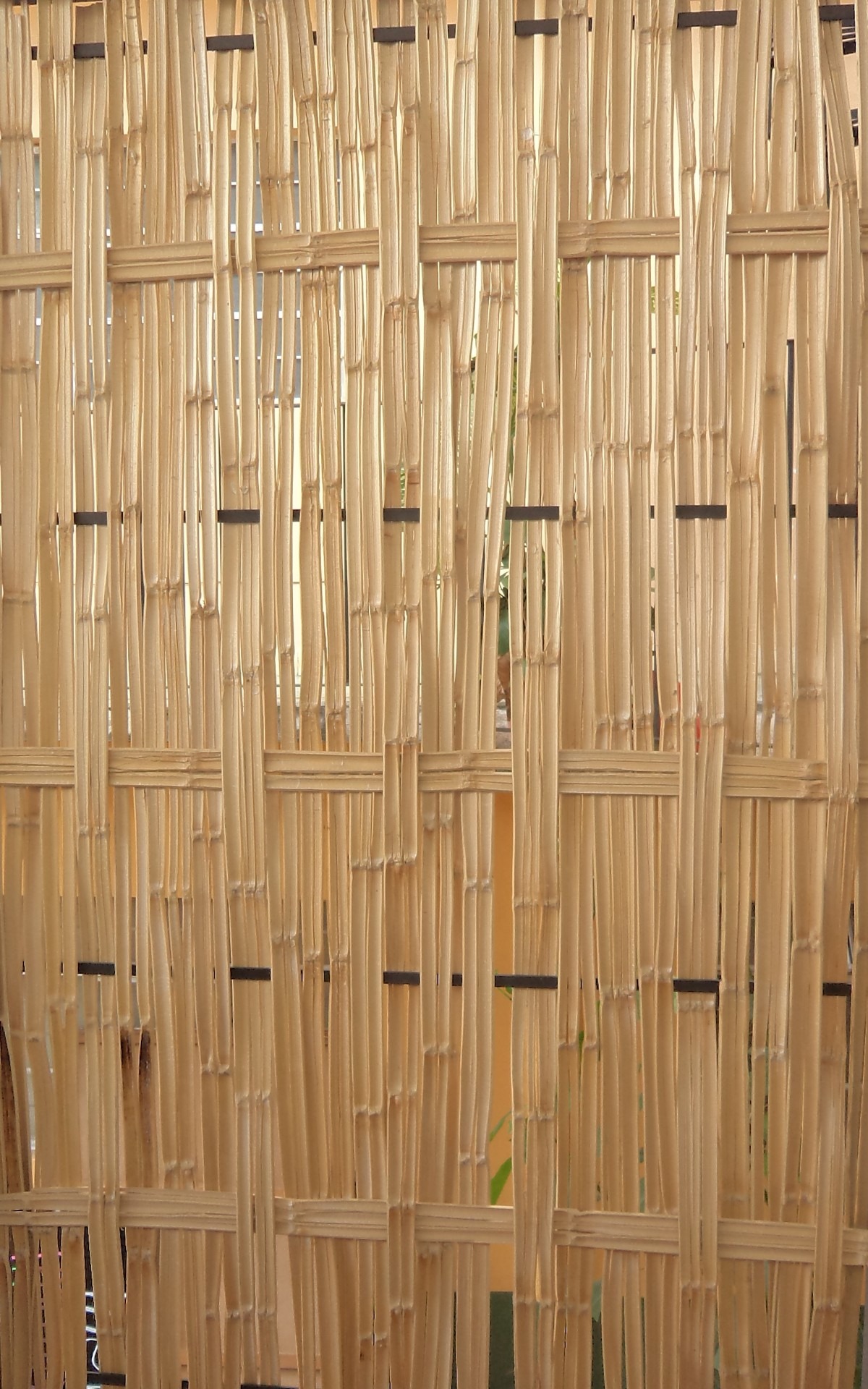 Beautiful, patterned bamboo walls of the fences free image download