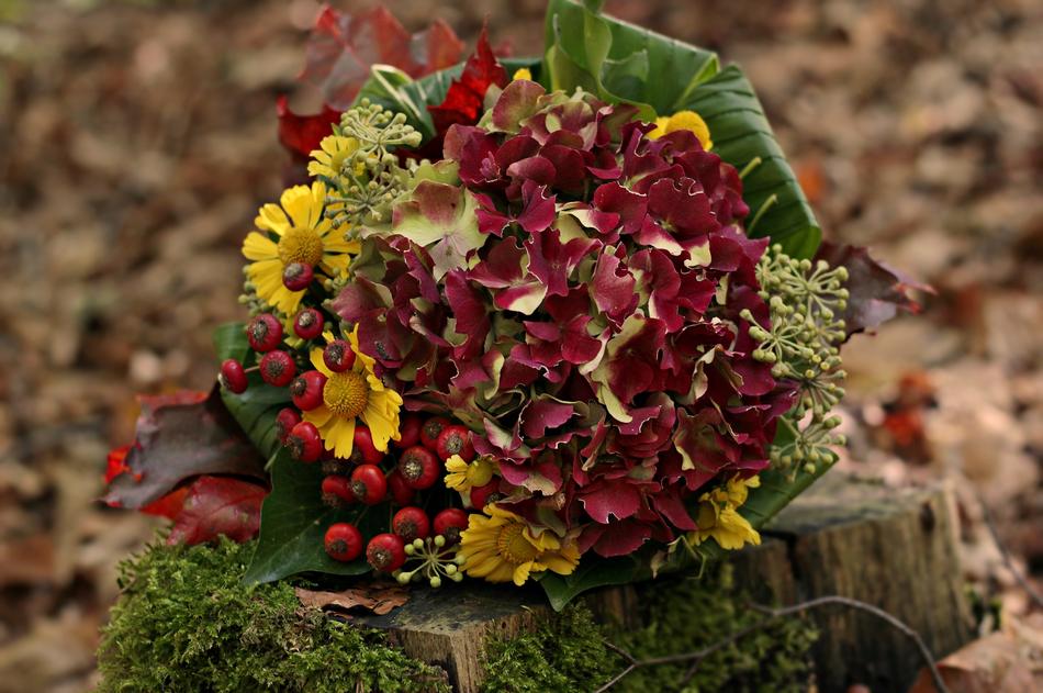 Absolutely beautiful Bouquet Autumn free image download