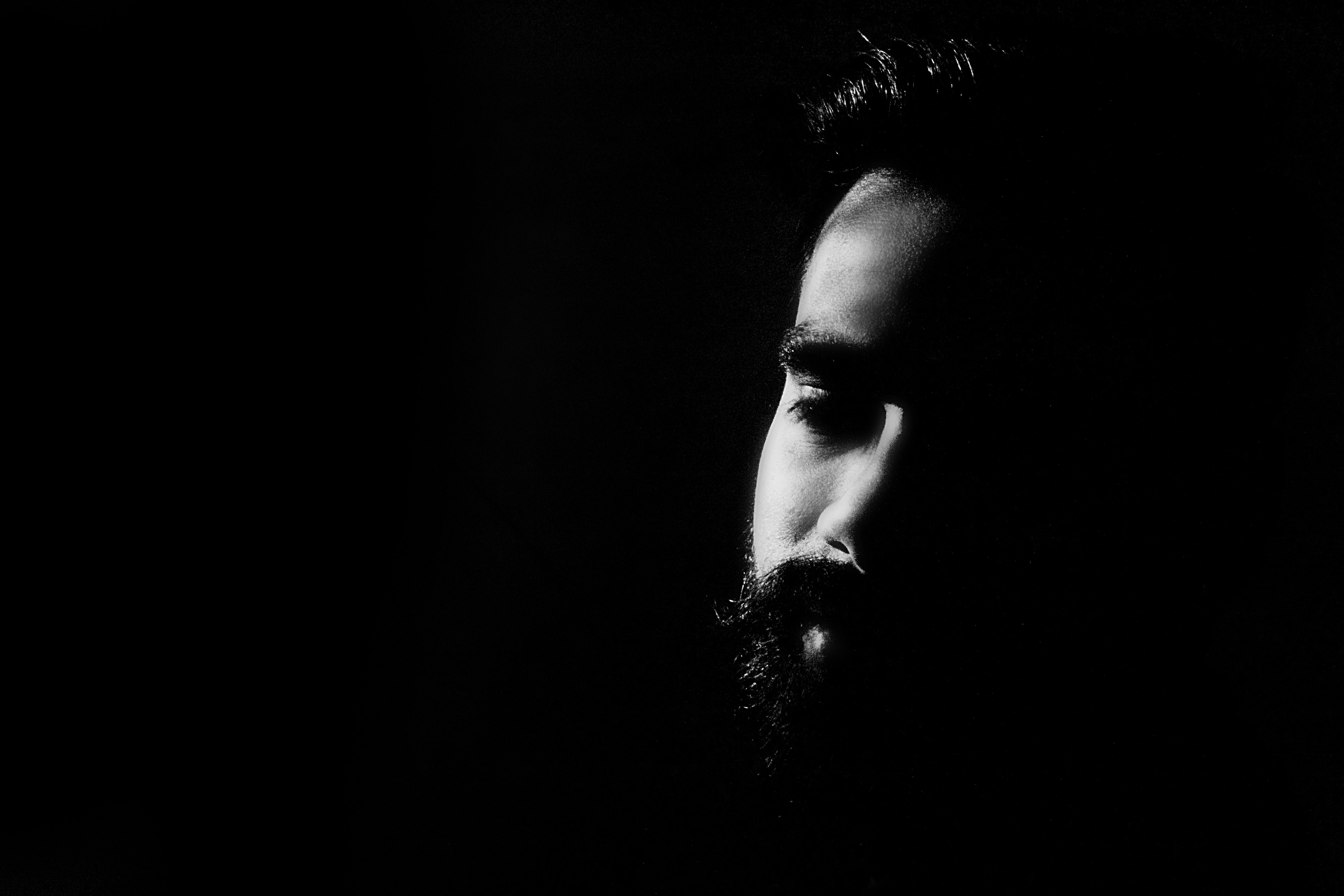 Face of young bearded man, High Contrast Black And White portrait free ...