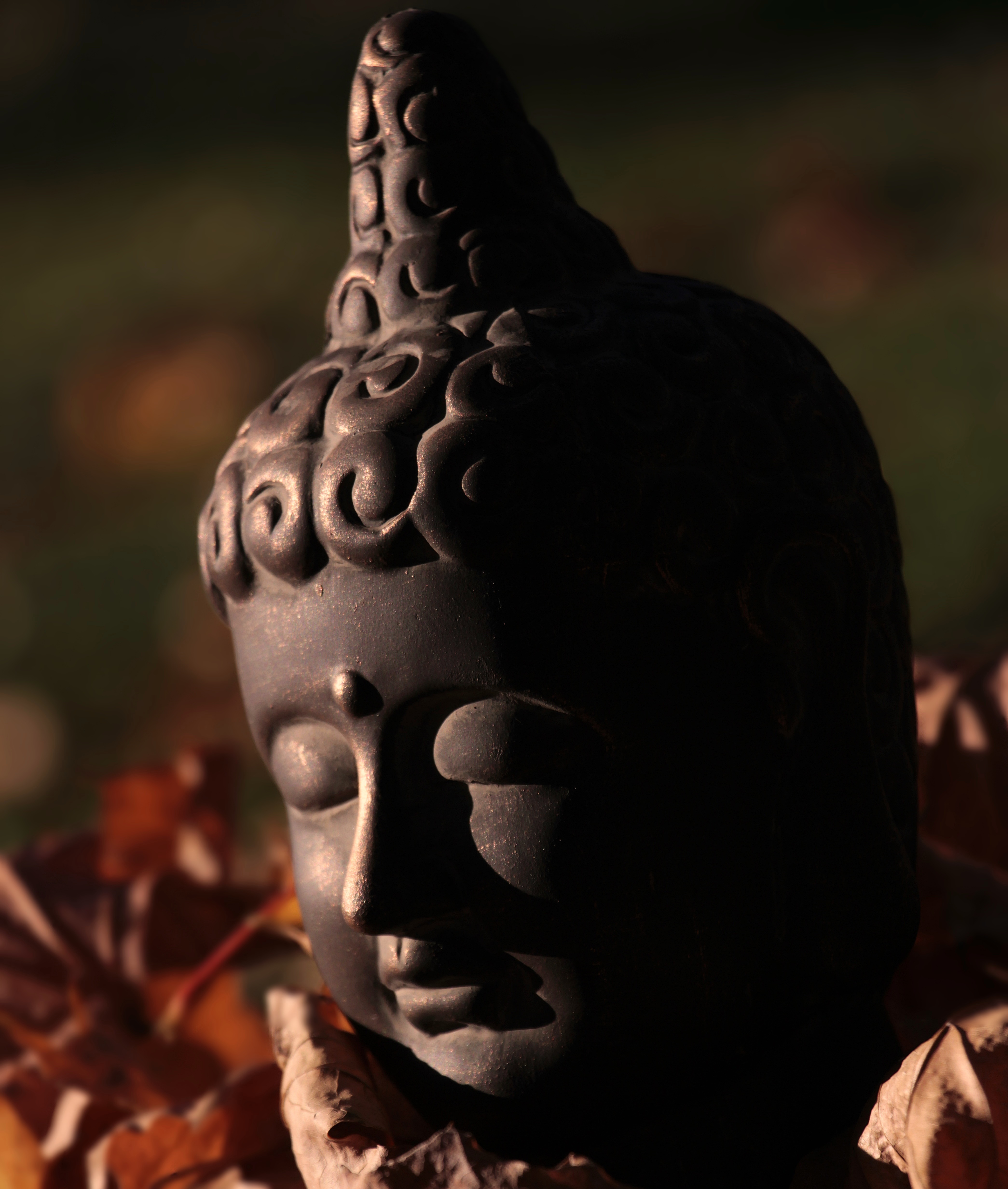 Beautiful, black Buddha figure among the colorful plants in autumn free ...
