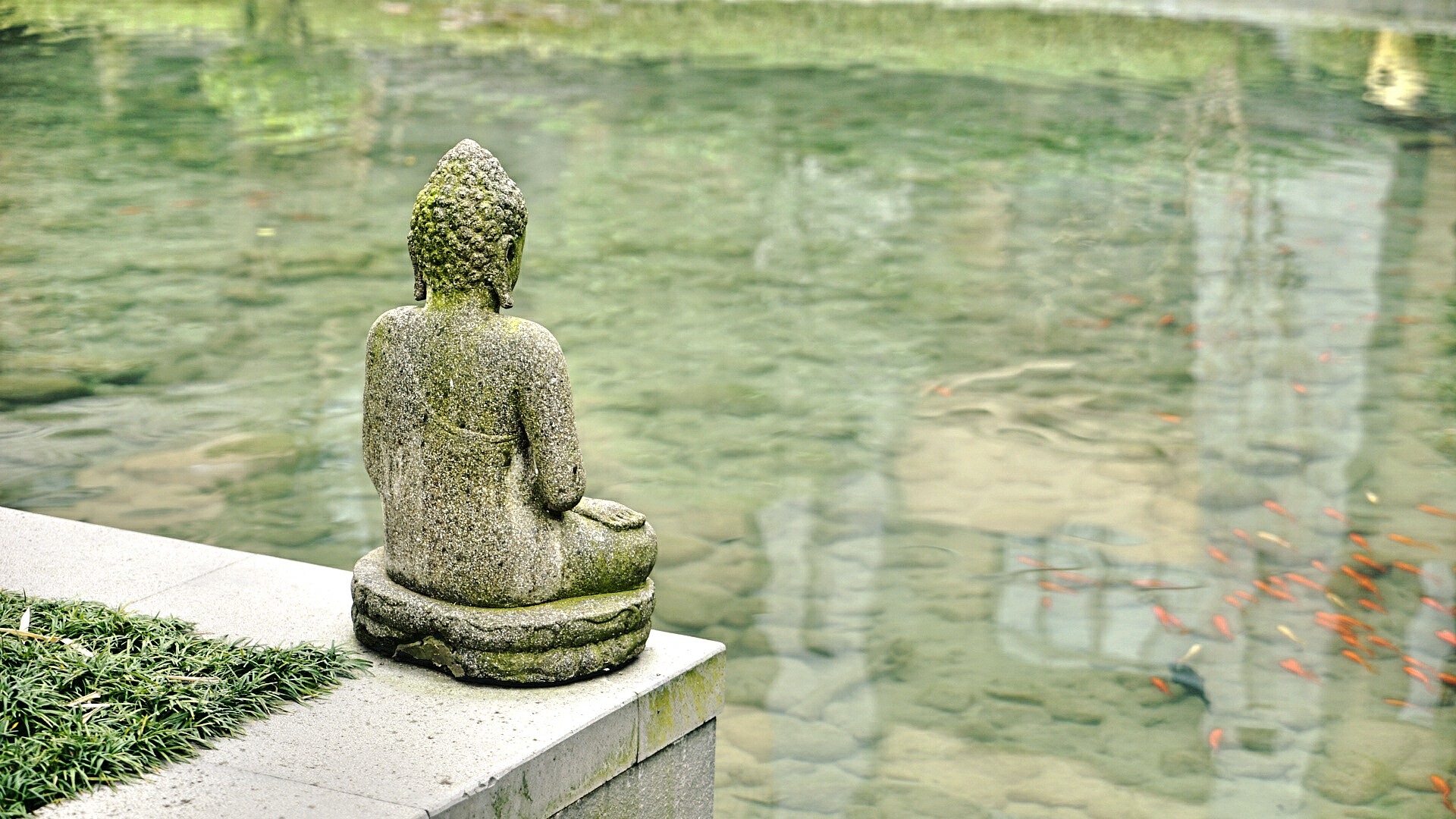 Buddha statue near water in chinese temple free image download