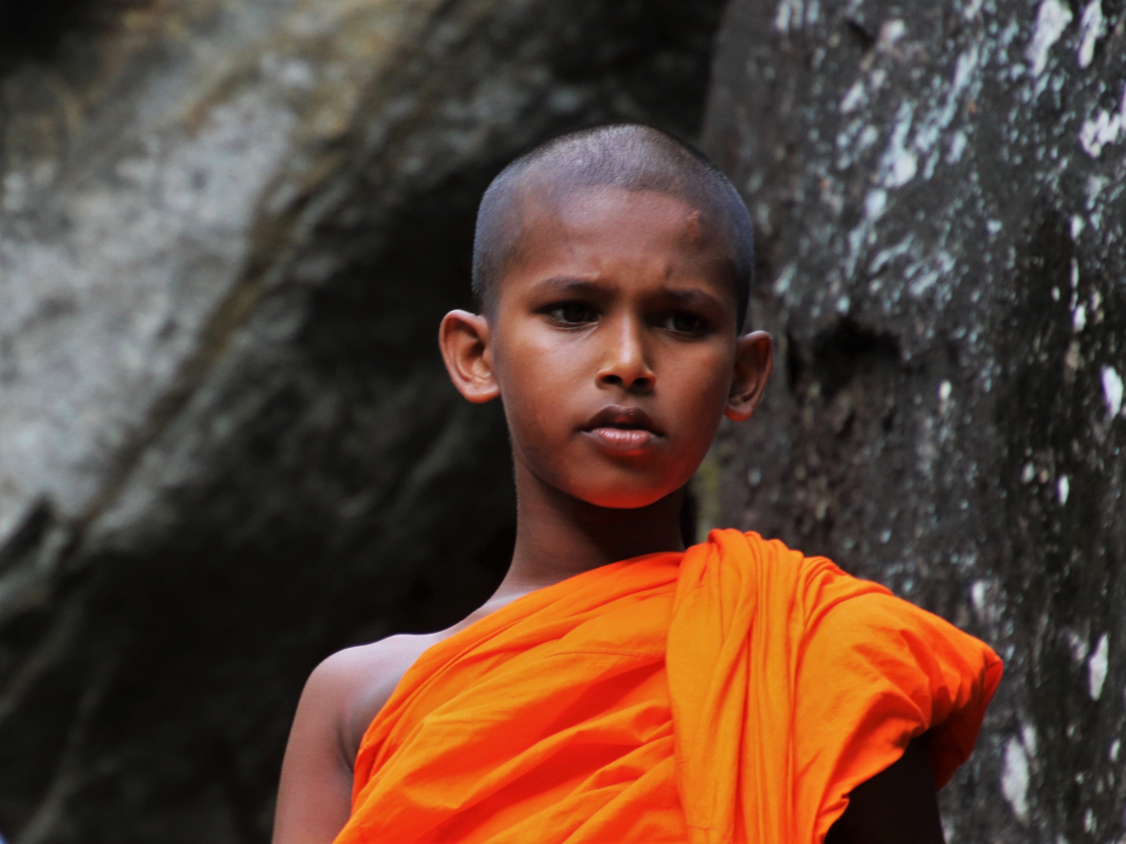 One Monk Portrait free image download