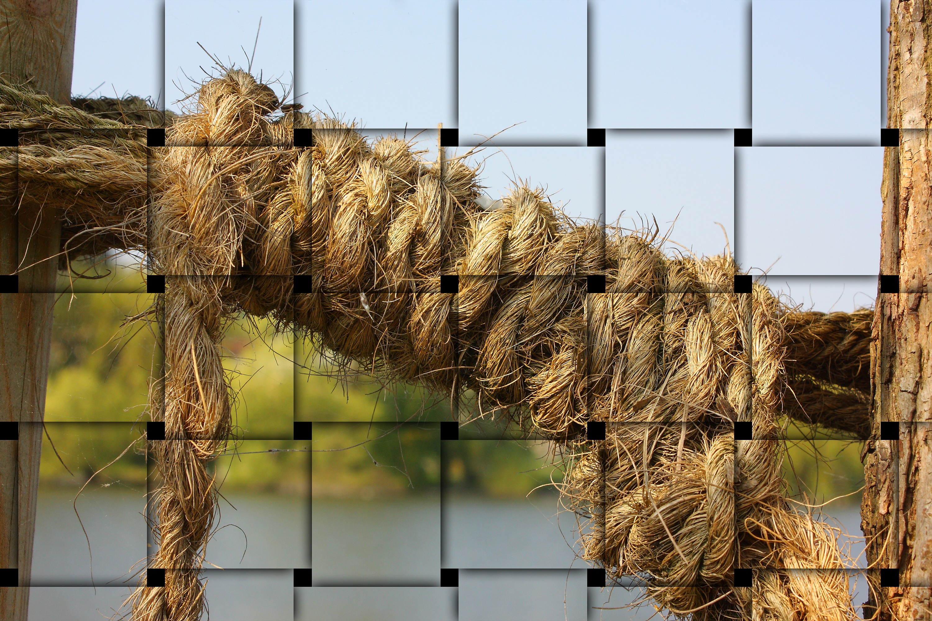 Rope behind the net free image download