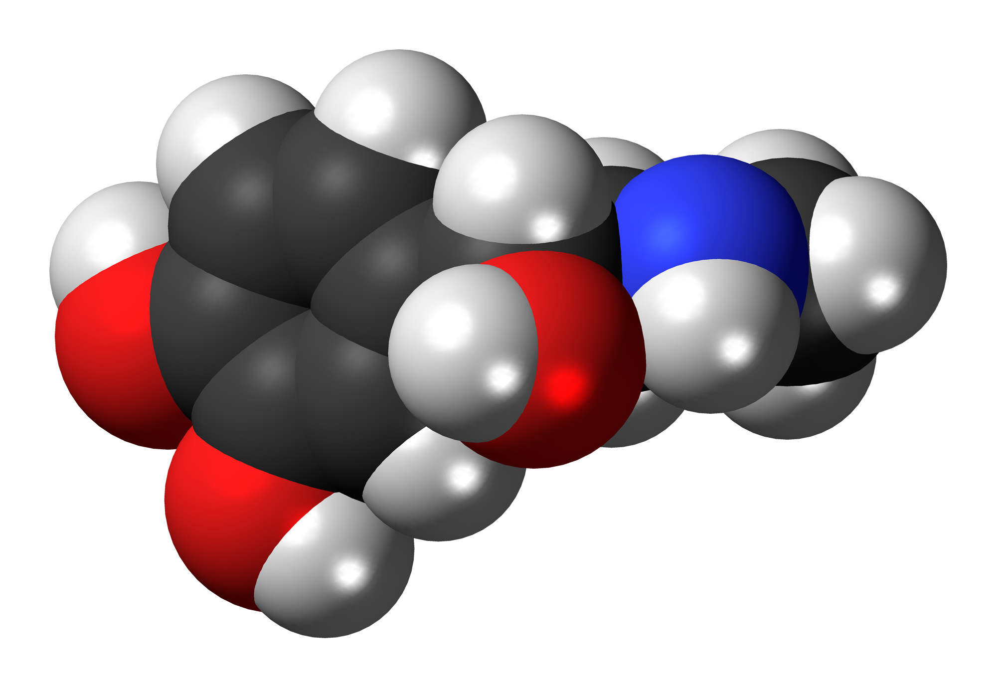 Epinephrine hormone drawing free image download