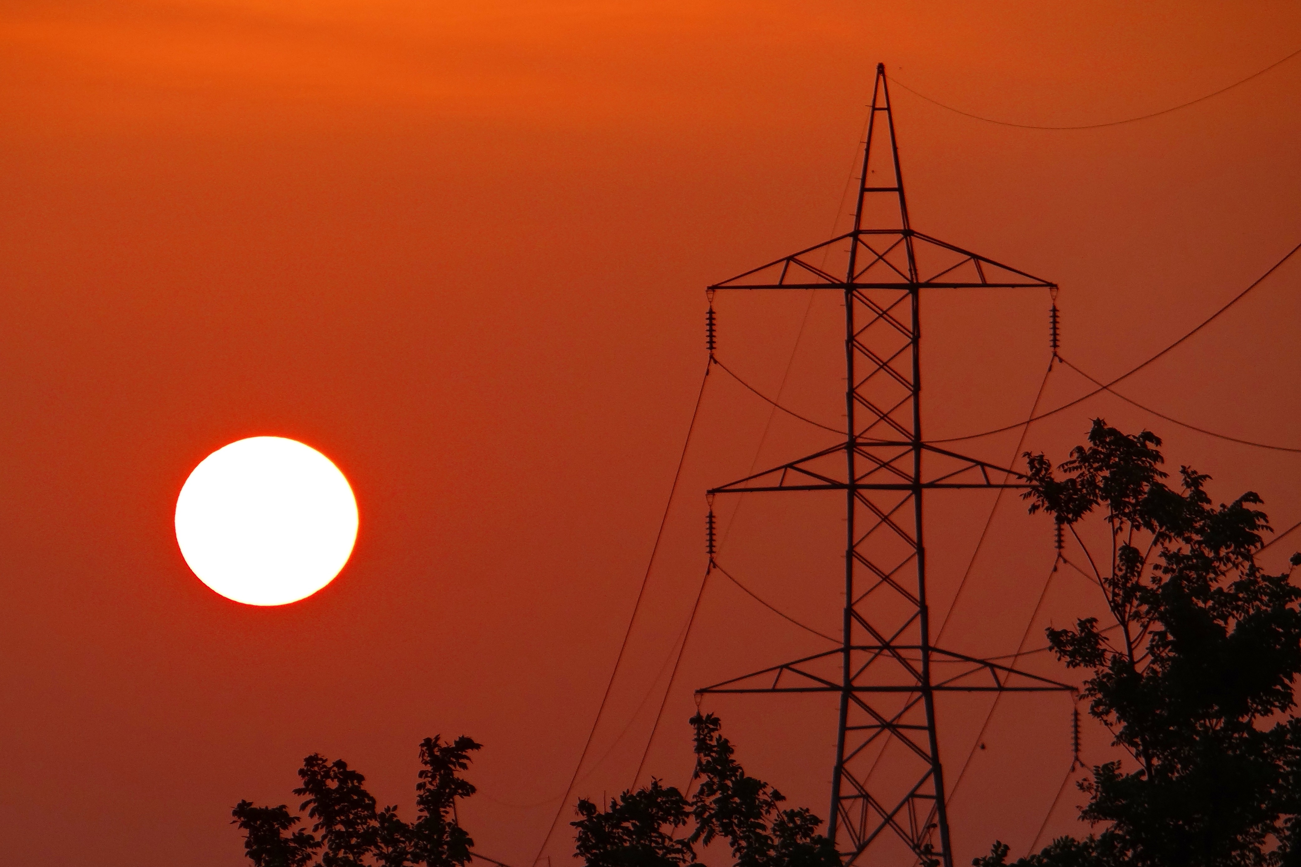 Silhouettes of the trees and electric pylon in Shimoga, Karnataka ...