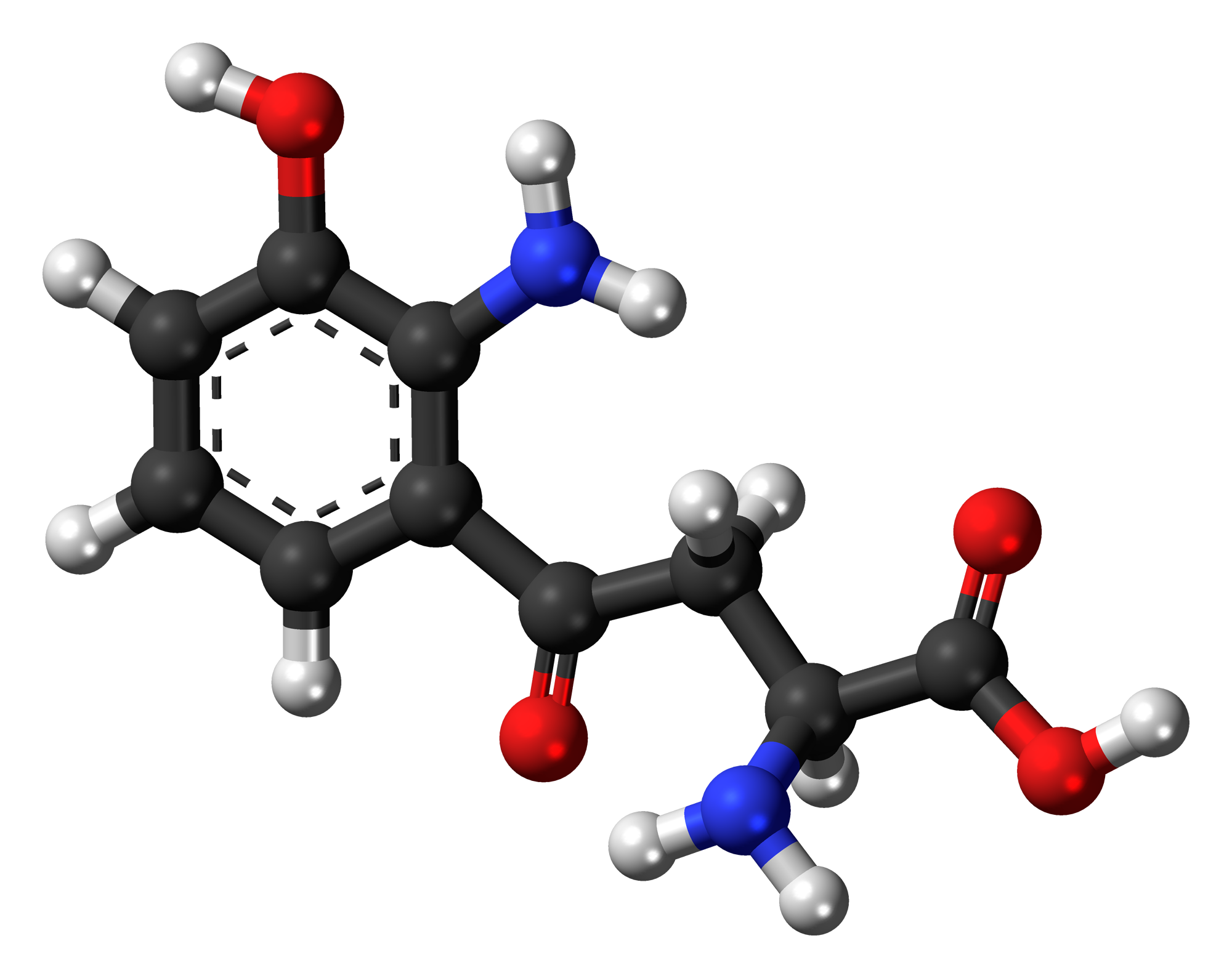 Hydroxykynurenine molecule as a 3d model free image download
