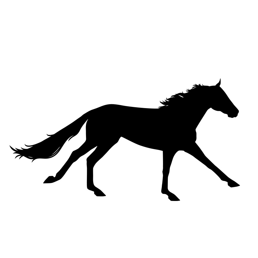 Gallop stallion drawing free image download