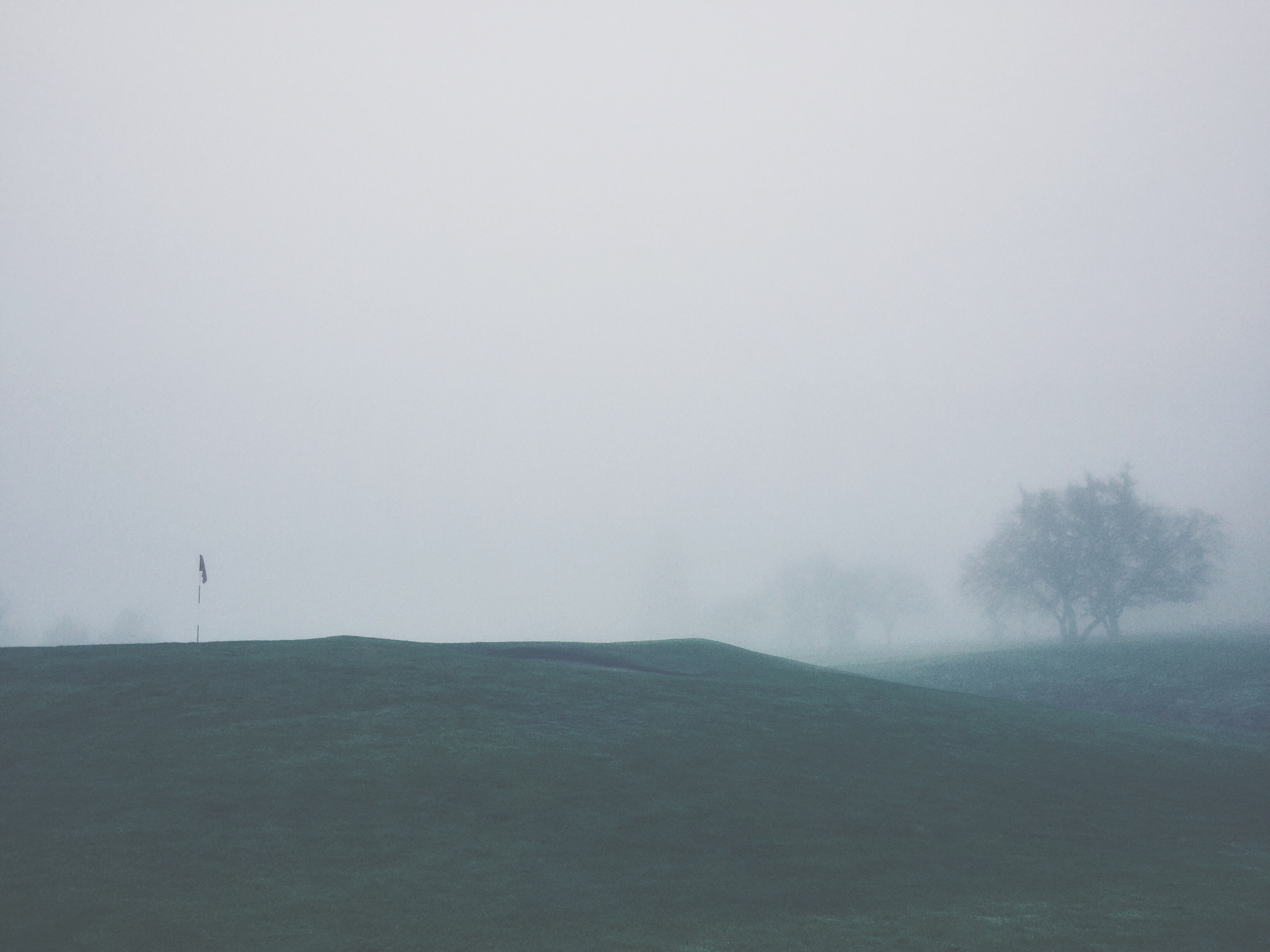 Golf Course fog free image download