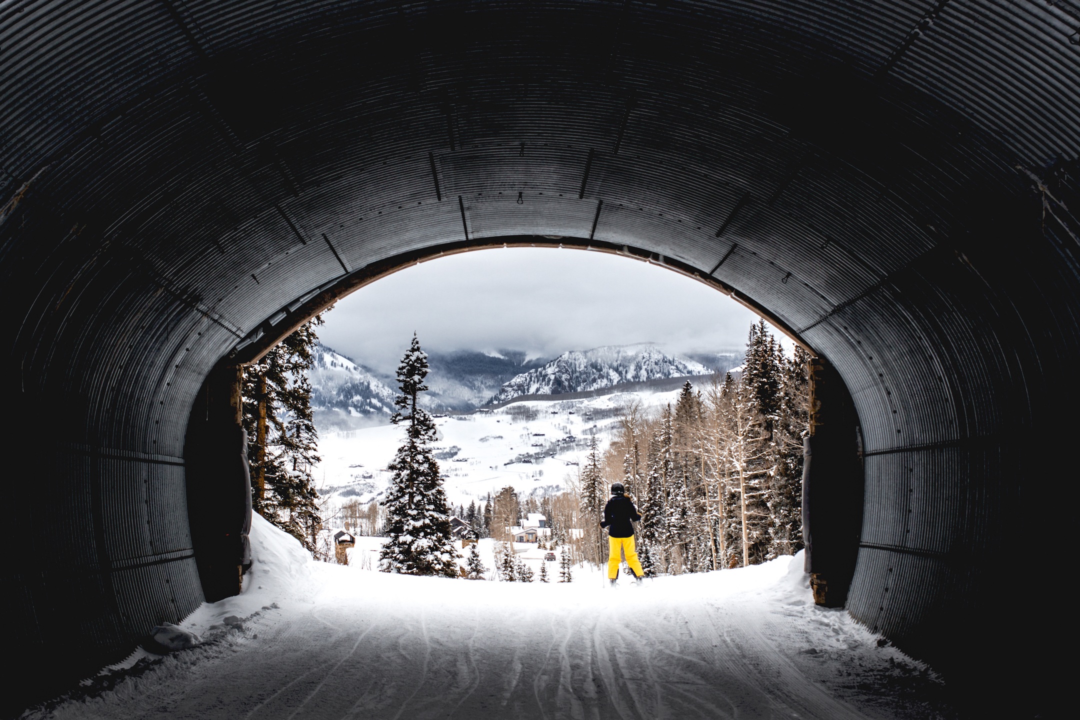 Tunnel Nature Trees snow skiing free image download