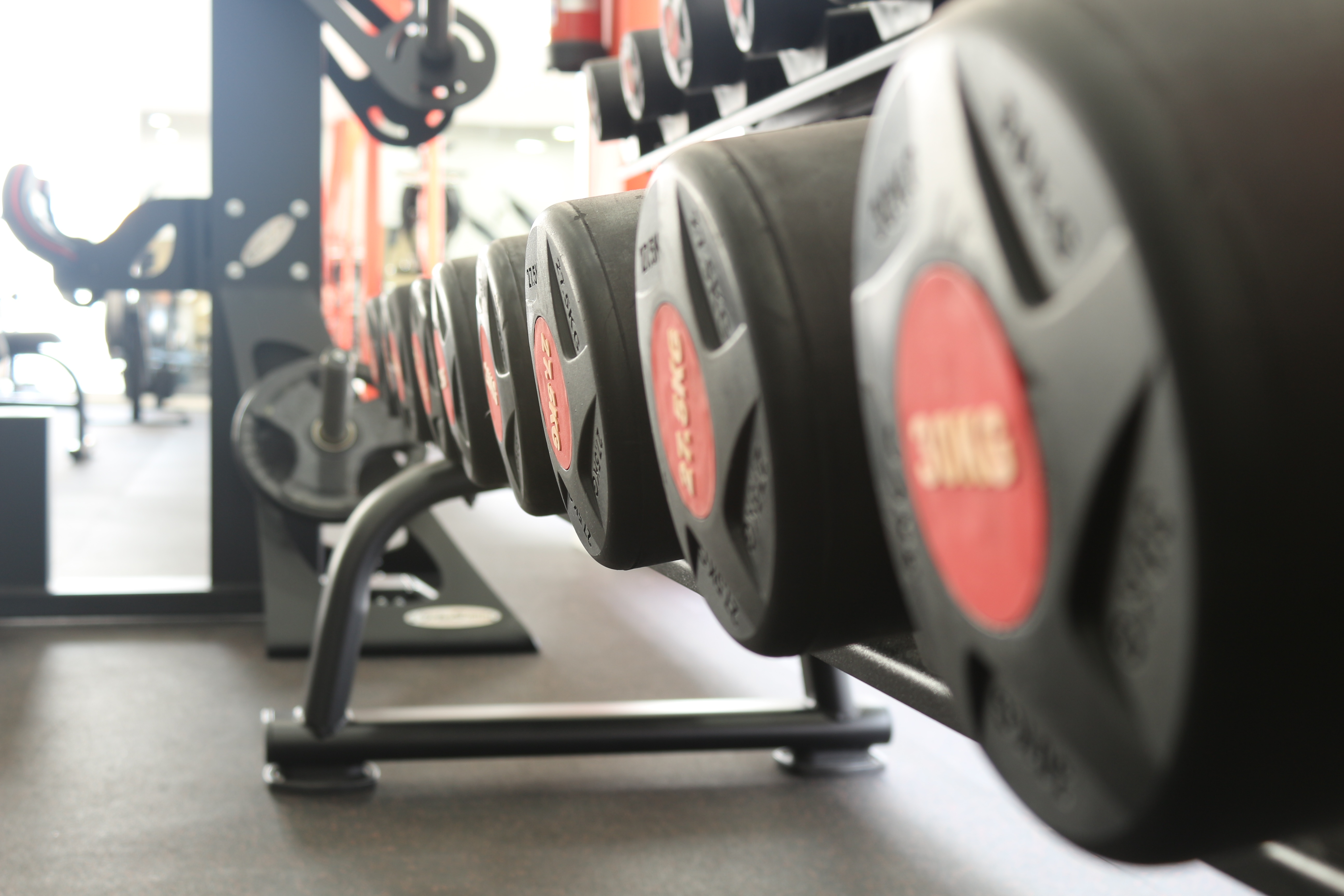 Black and red weights in the gym in light free image download