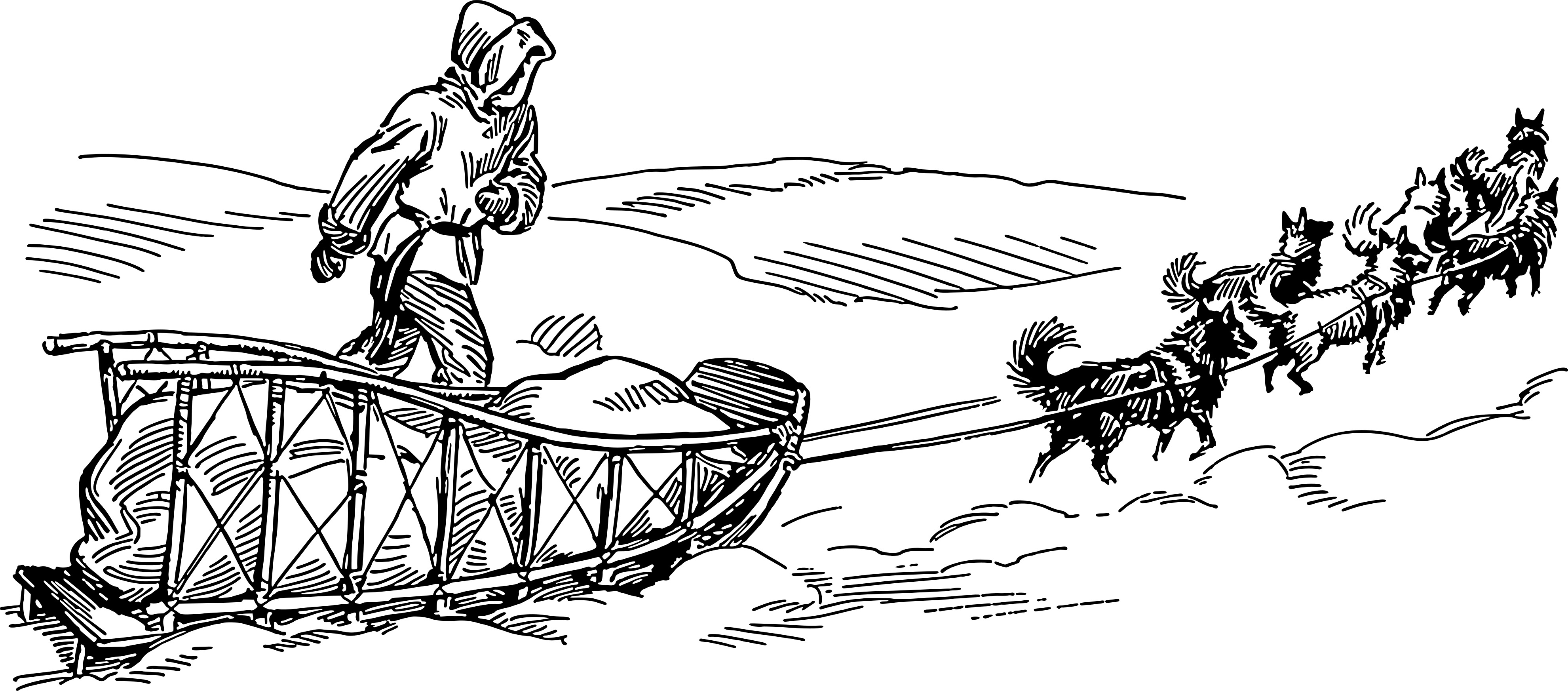 Black and white drawing of the person, on the ice sled, with the dogs ...
