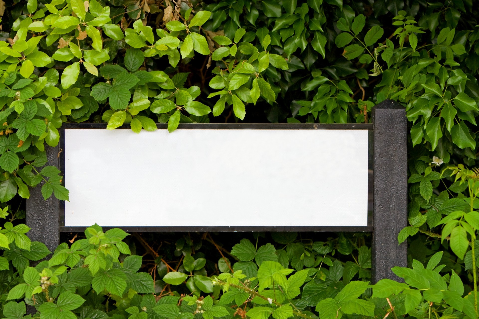 Street Sign Blank white free image download