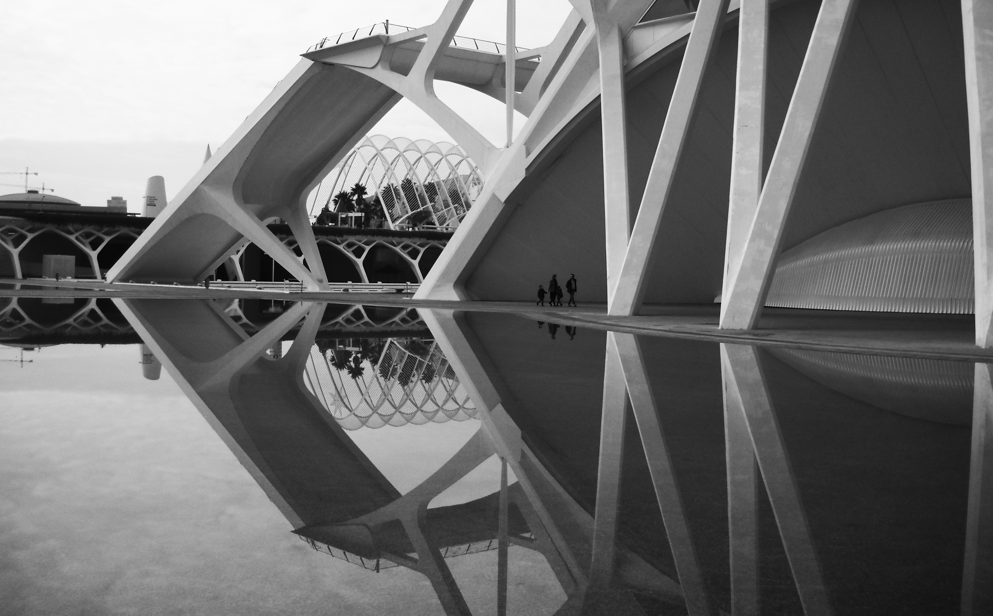 Opera House by Calatrava, detail, spain, Valencia free image download