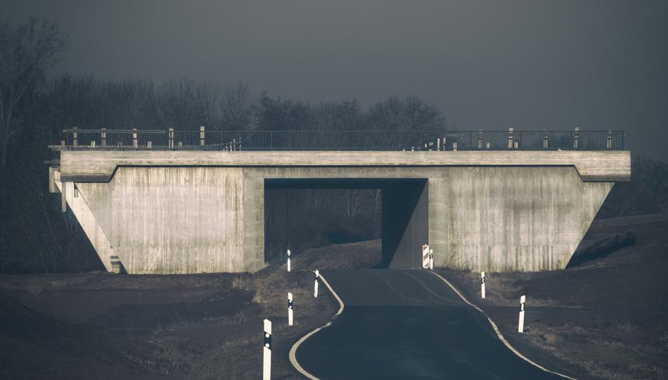 Bridge Site Underpass free image download