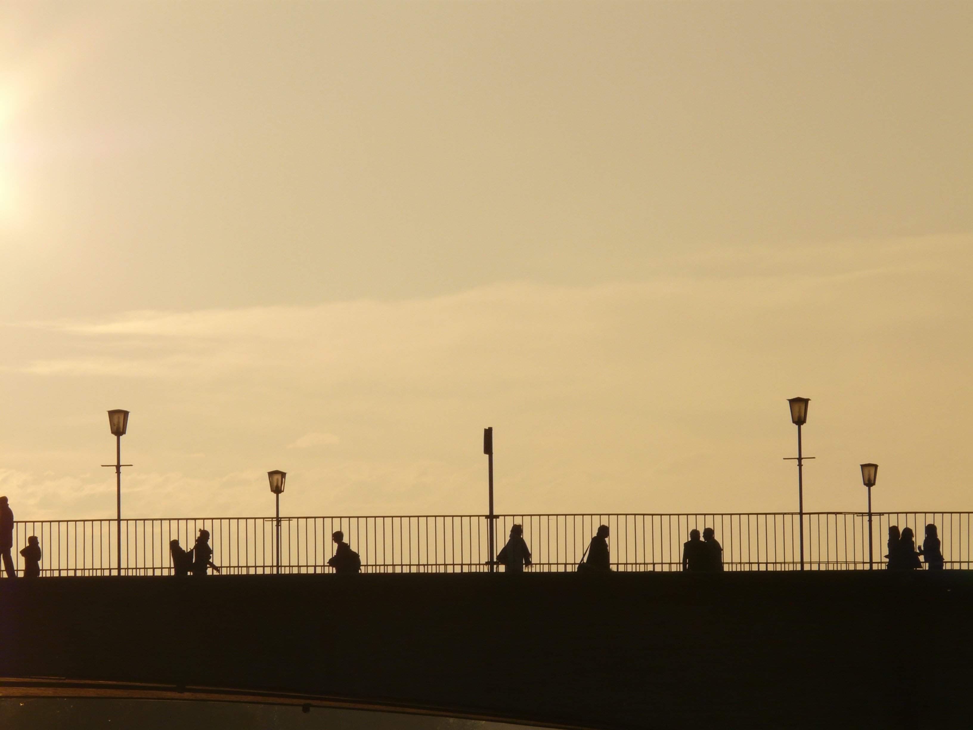 Bridge Human Profile free image download