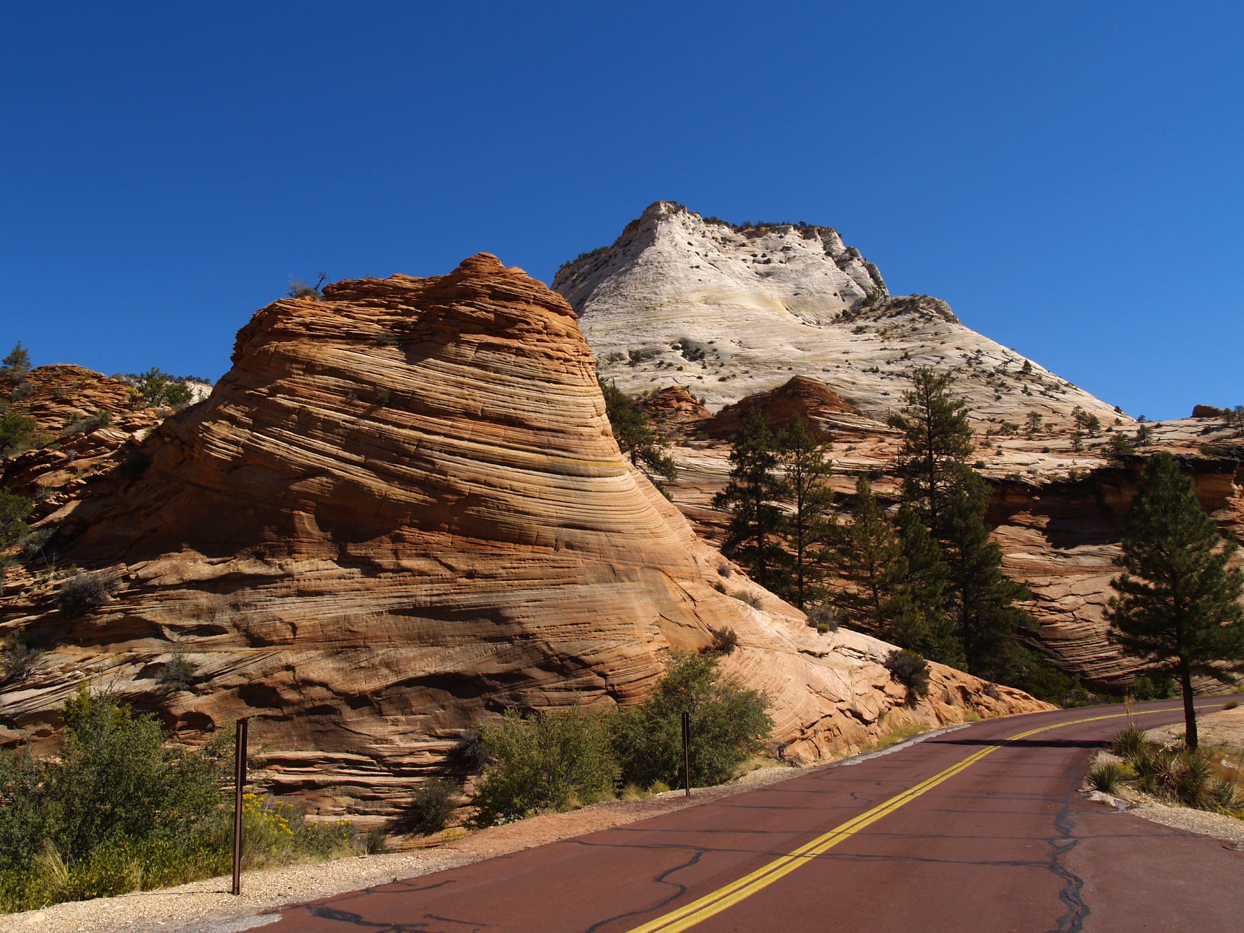 Zion National Park Utah Usa Red free image download