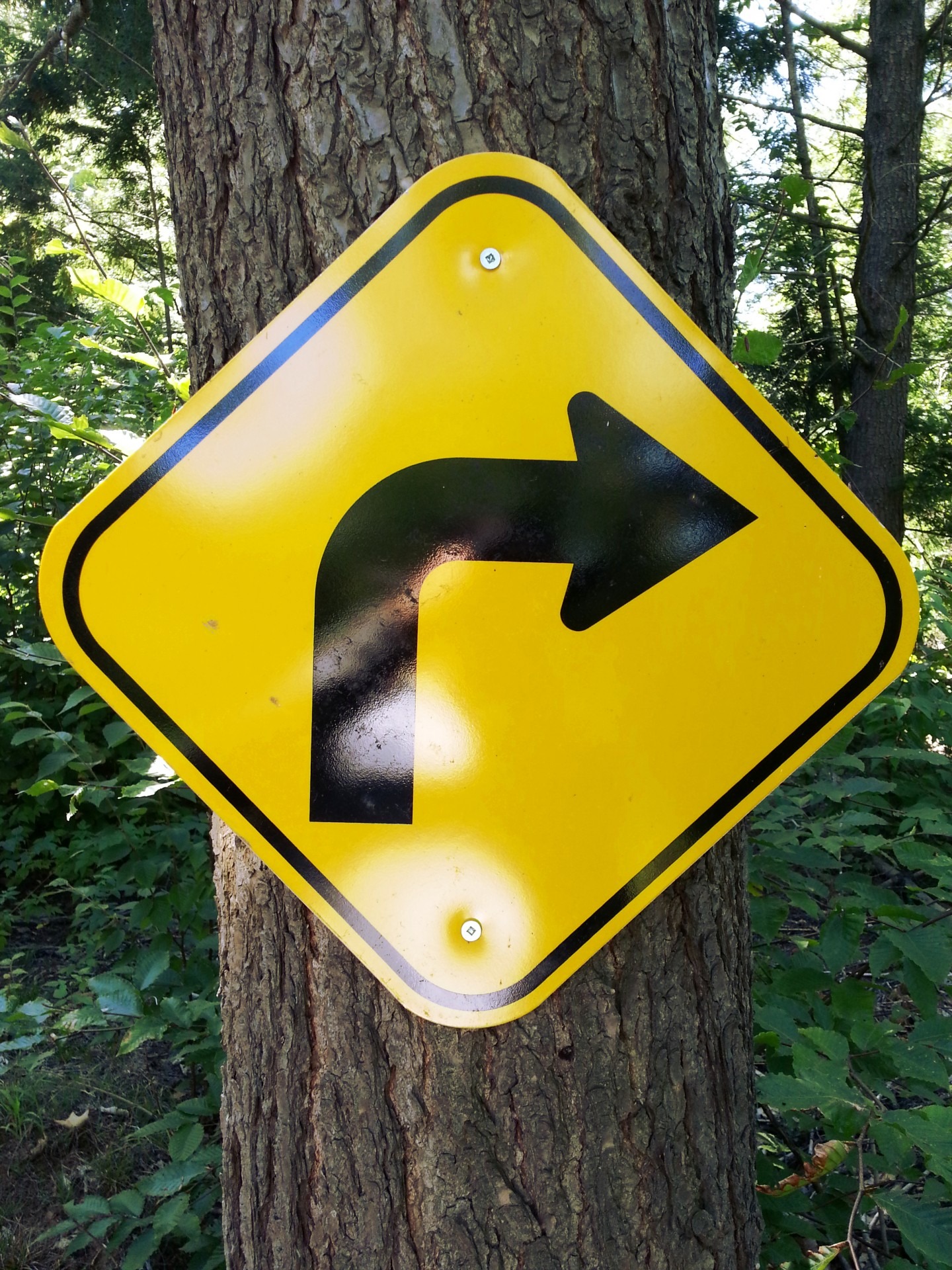 Arrow Right Turns free image download