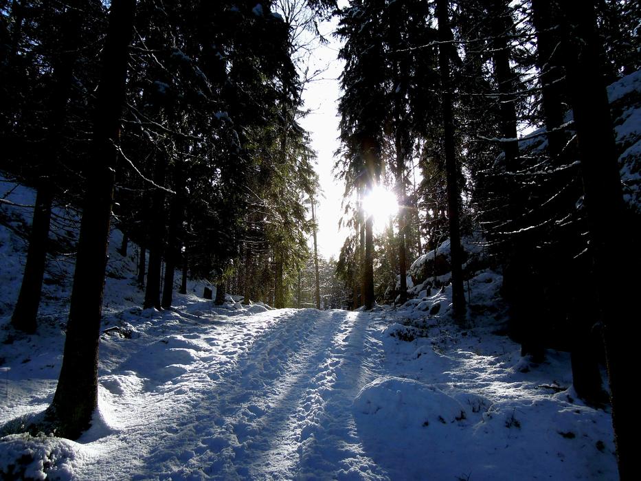 Sun The Path Snow free image download