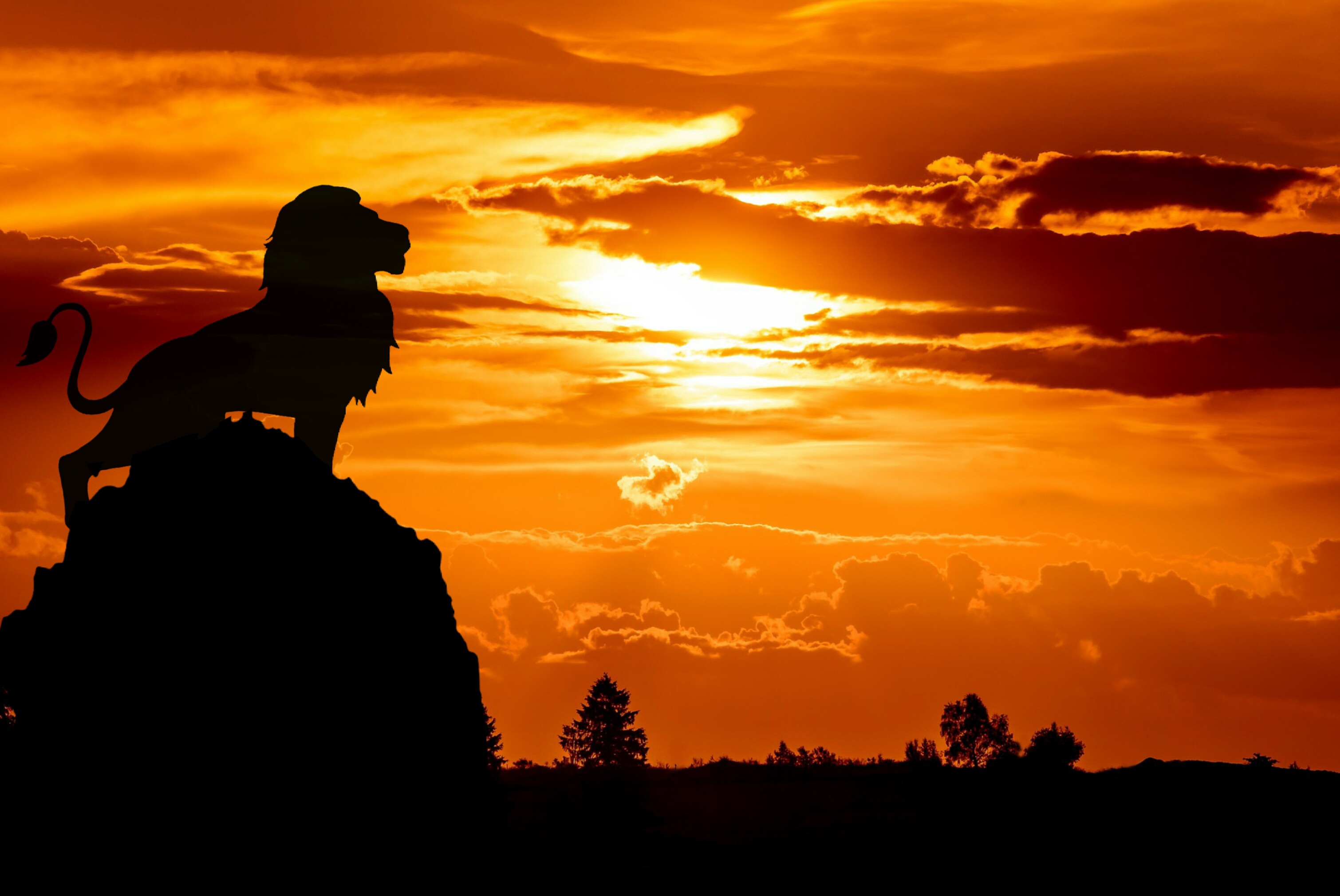Lion King sunset free image download