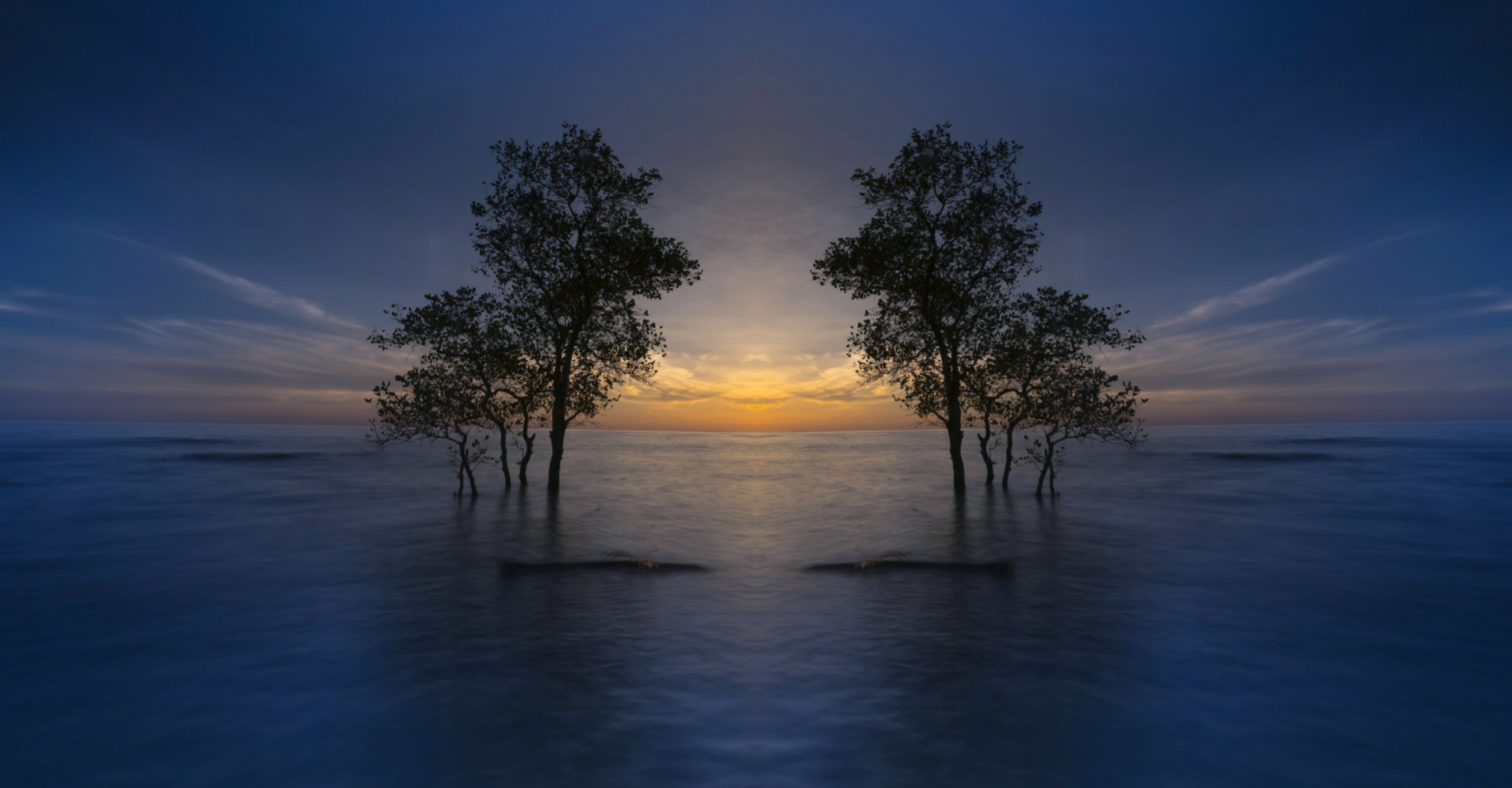 Dark Ocean trees free image download